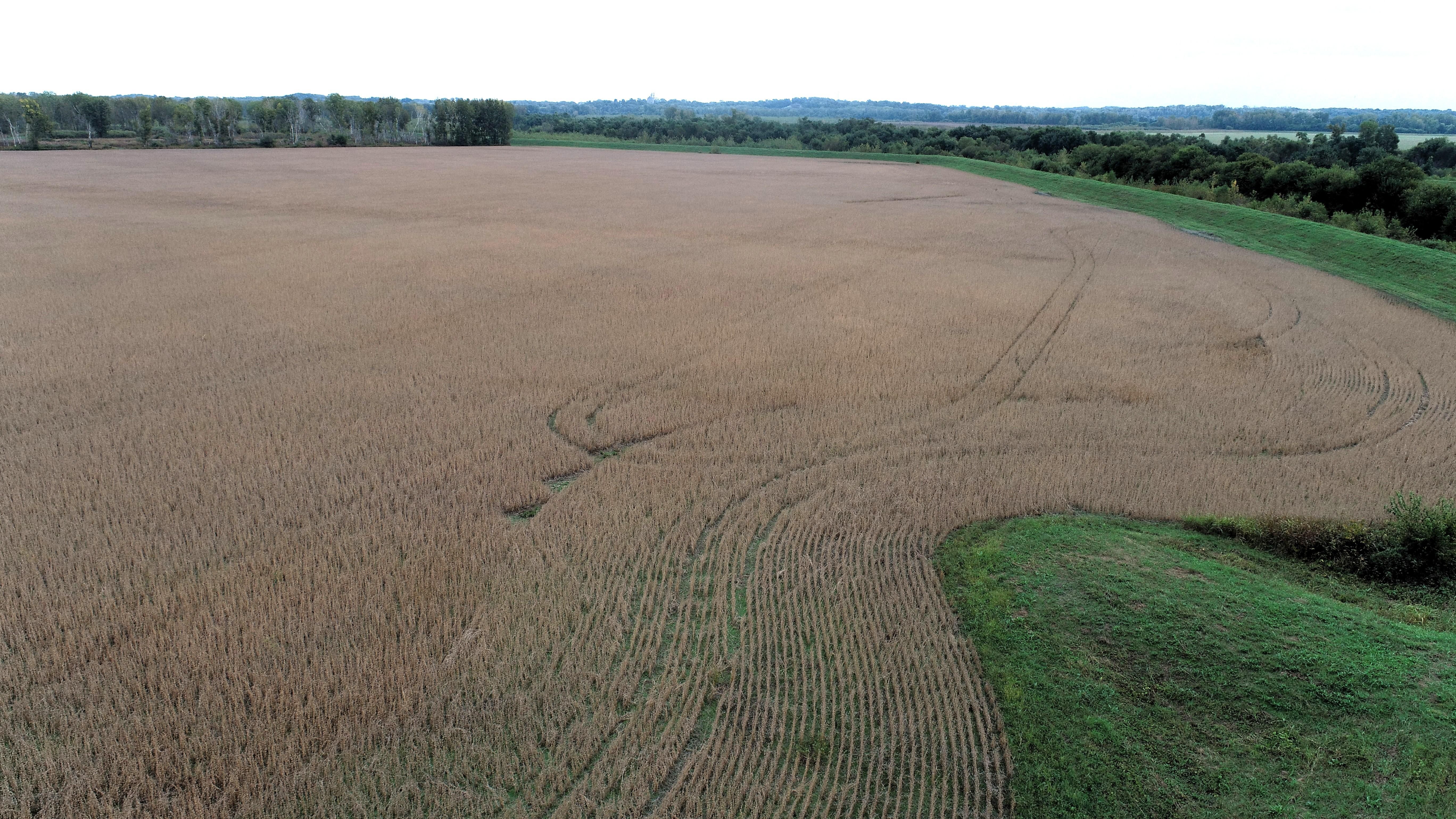 186 acres in De Witt, MO, 64633 | LandWatch