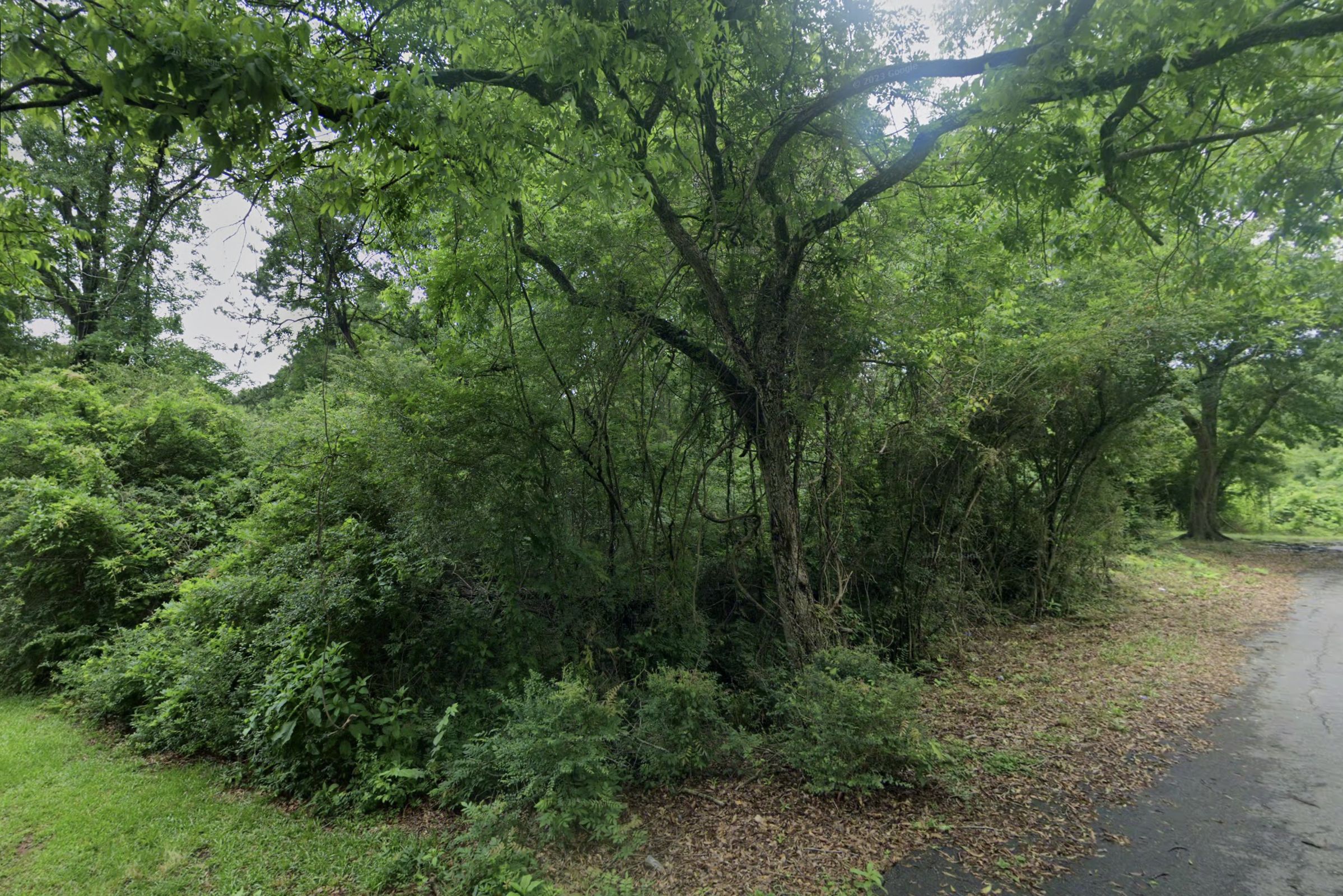 60 Dew Place, Forsyth, GA 31029 | LandWatch