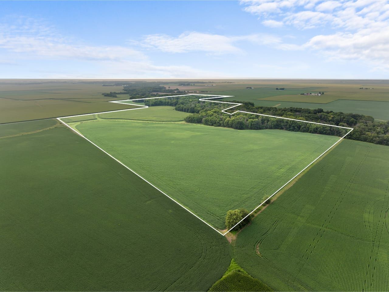 North 325th St, Redmon, IL 61949 | LandWatch