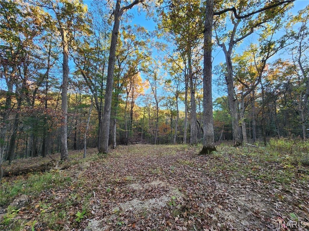 1414 Timber Valley Court, Pacific, MO 63069 | MLS: 25071741 | LandWatch