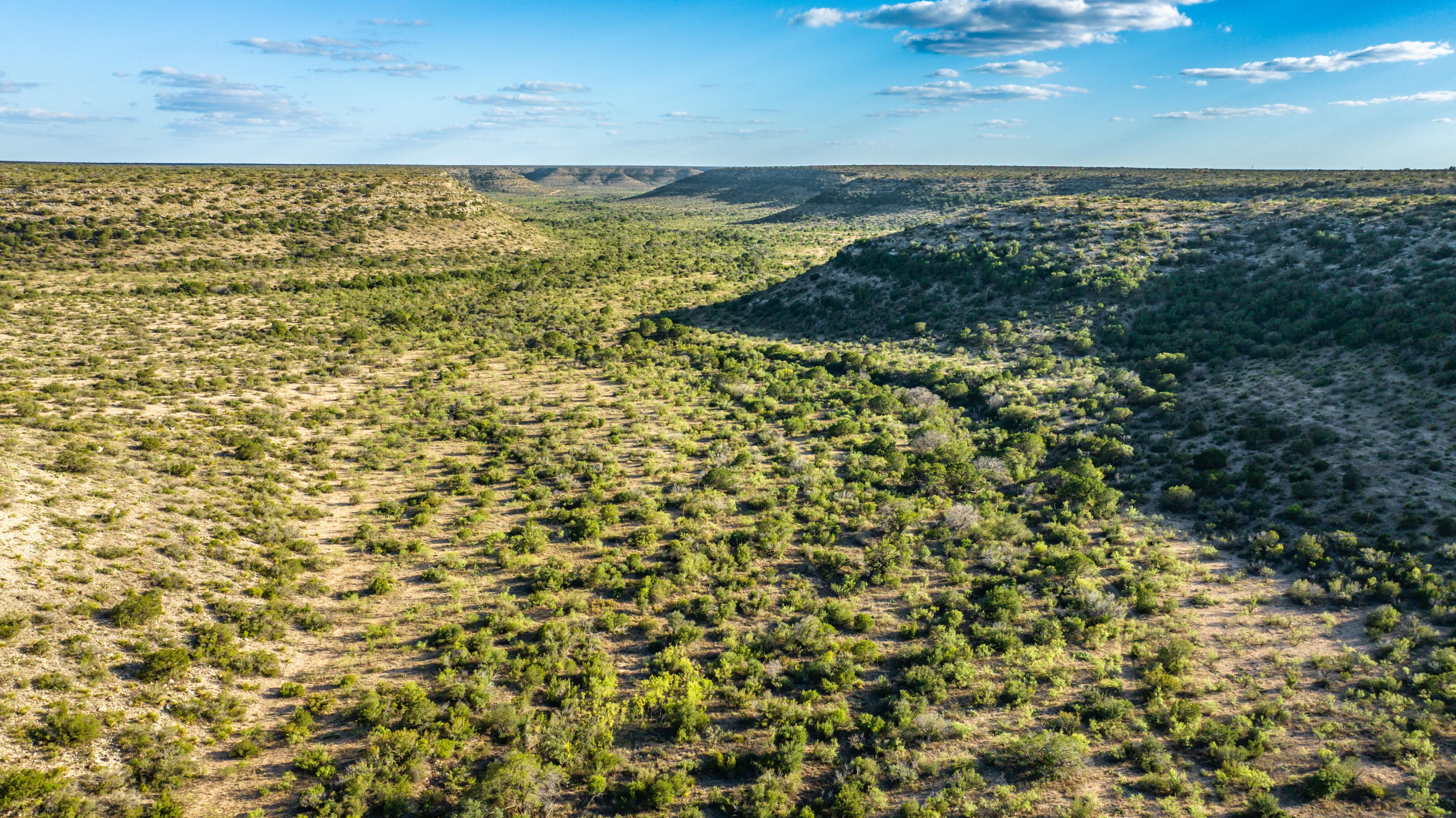 Davenport Road, Sheffield, TX 79781 | LandWatch