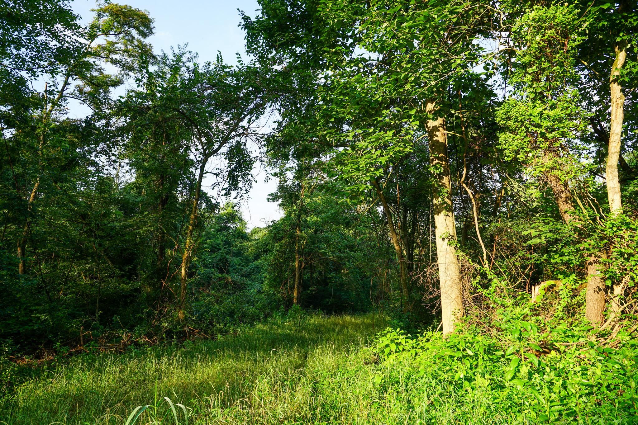 Township Rd 51, Somerset, OH 43783 | LandWatch
