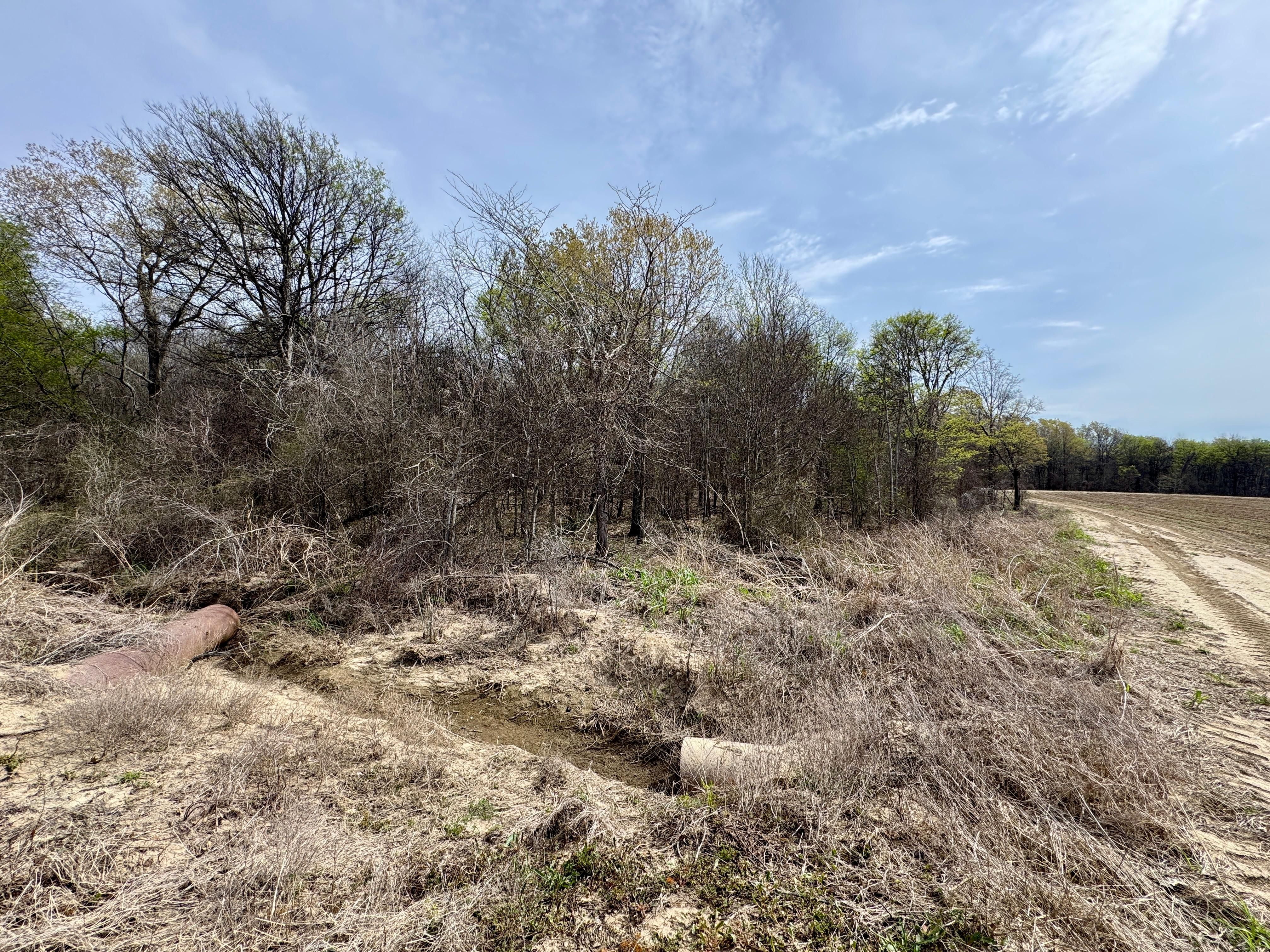 Turner Rd, Ruleville, MS 38771 | LandWatch