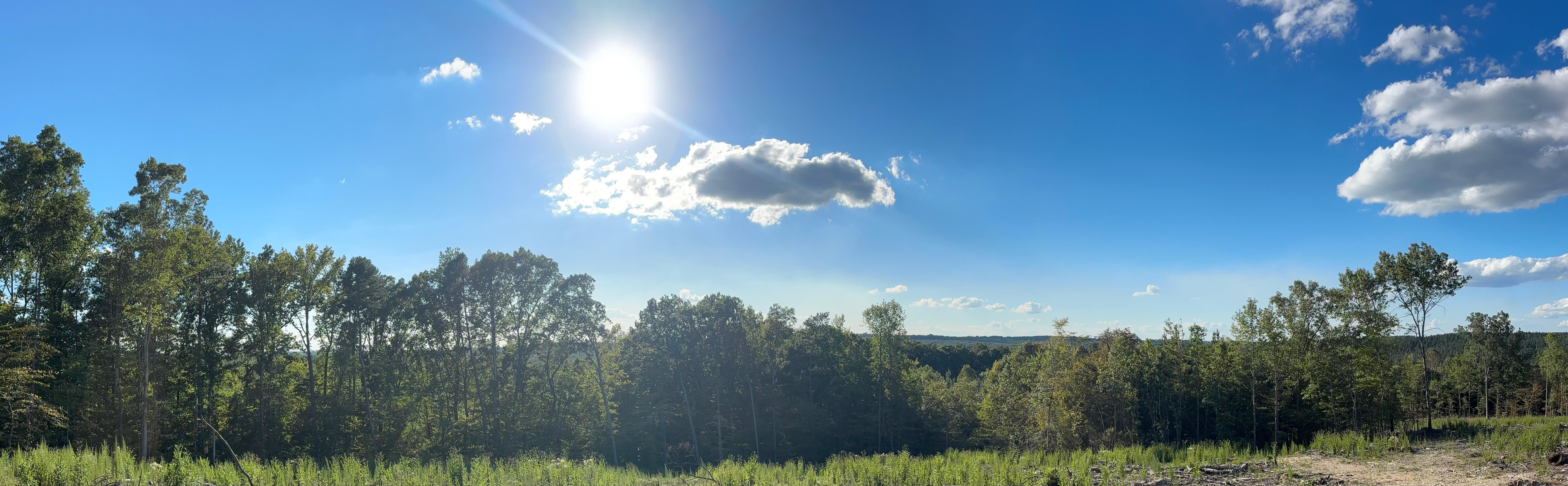 NC 42, New Hill, NC 27562 | LandWatch