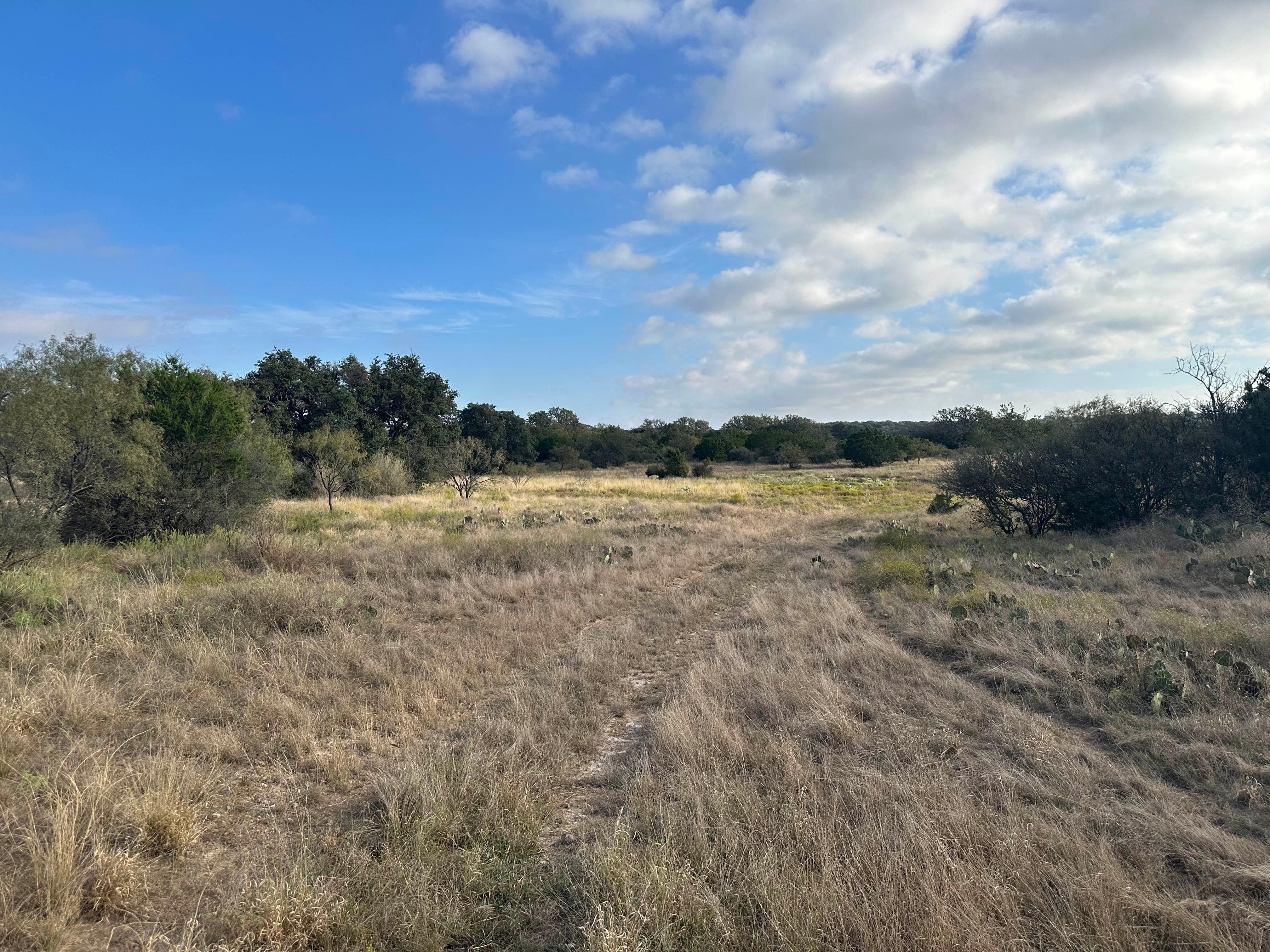 707 acres in Voca, TX, 76887 | LandWatch