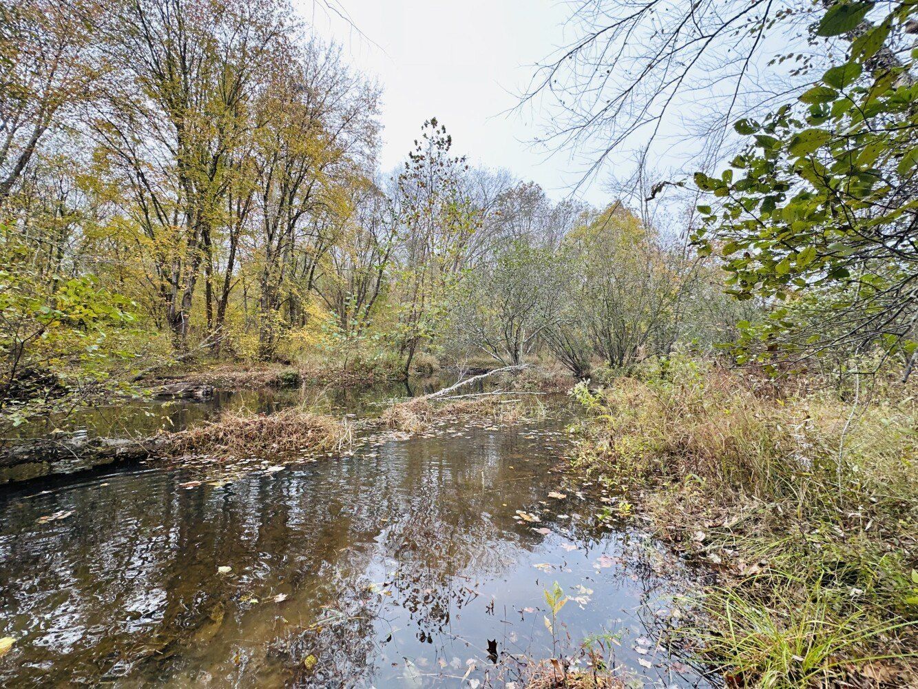 0-0 Mountain Top Rd, New Canton, VA 23123 | MLS: 11597117 | LandWatch