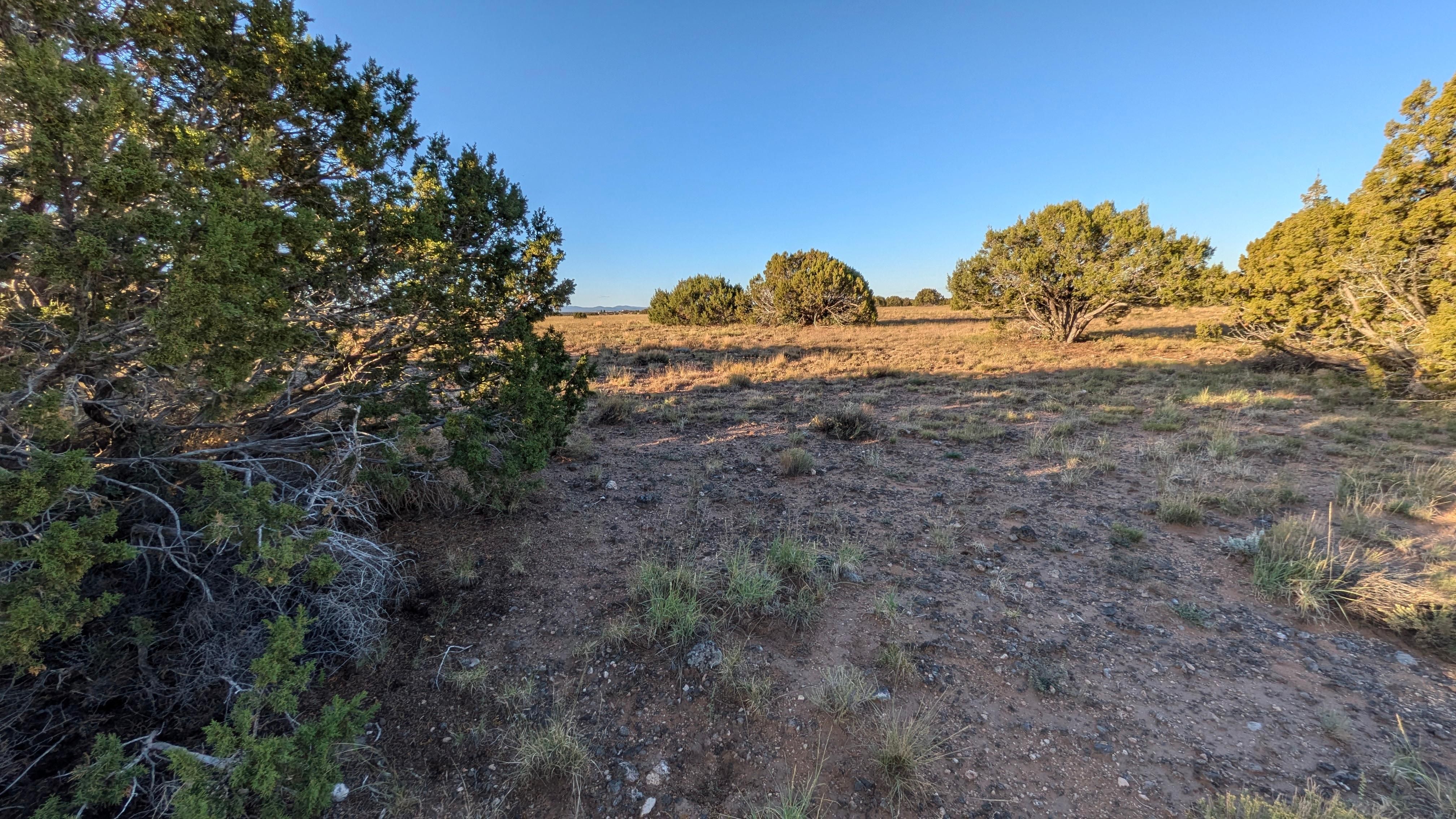 County Rd 5072, Concho, AZ 85924 | LandWatch