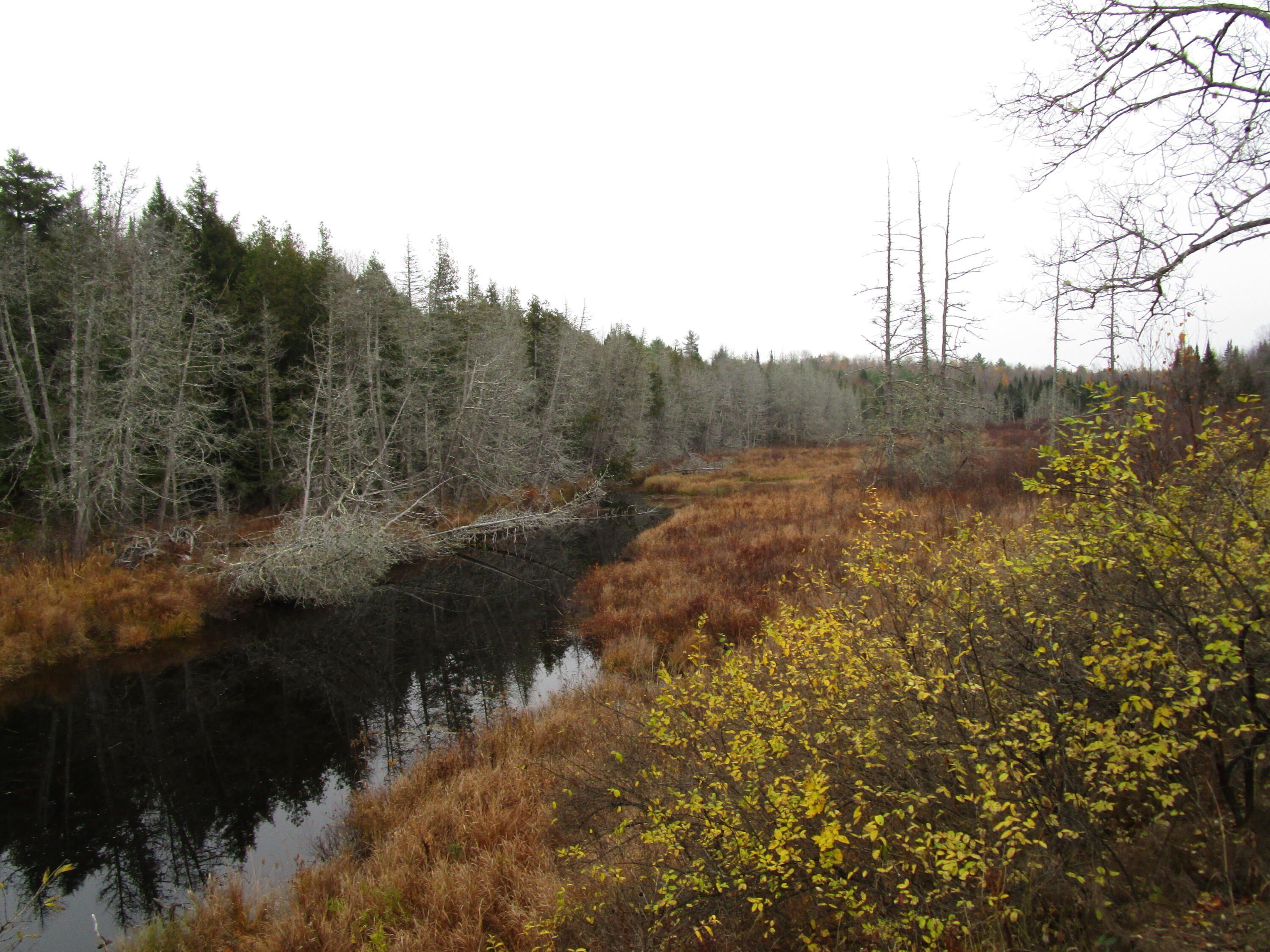 medford center lot: 25, Medford, ME 04463 | MLS: 1642289 | LandWatch