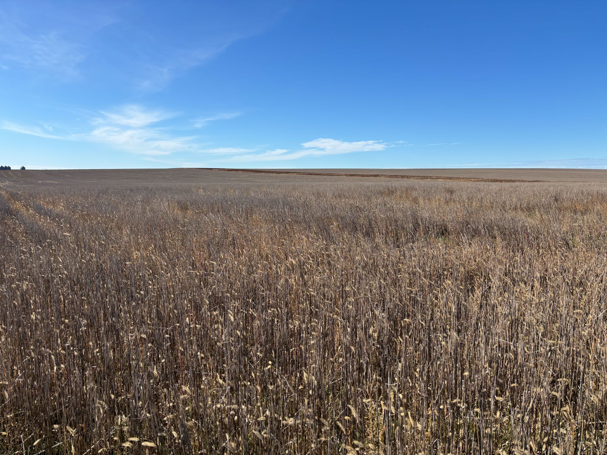 1,111.43 acres in Presho, SD, 57532 | LandWatch