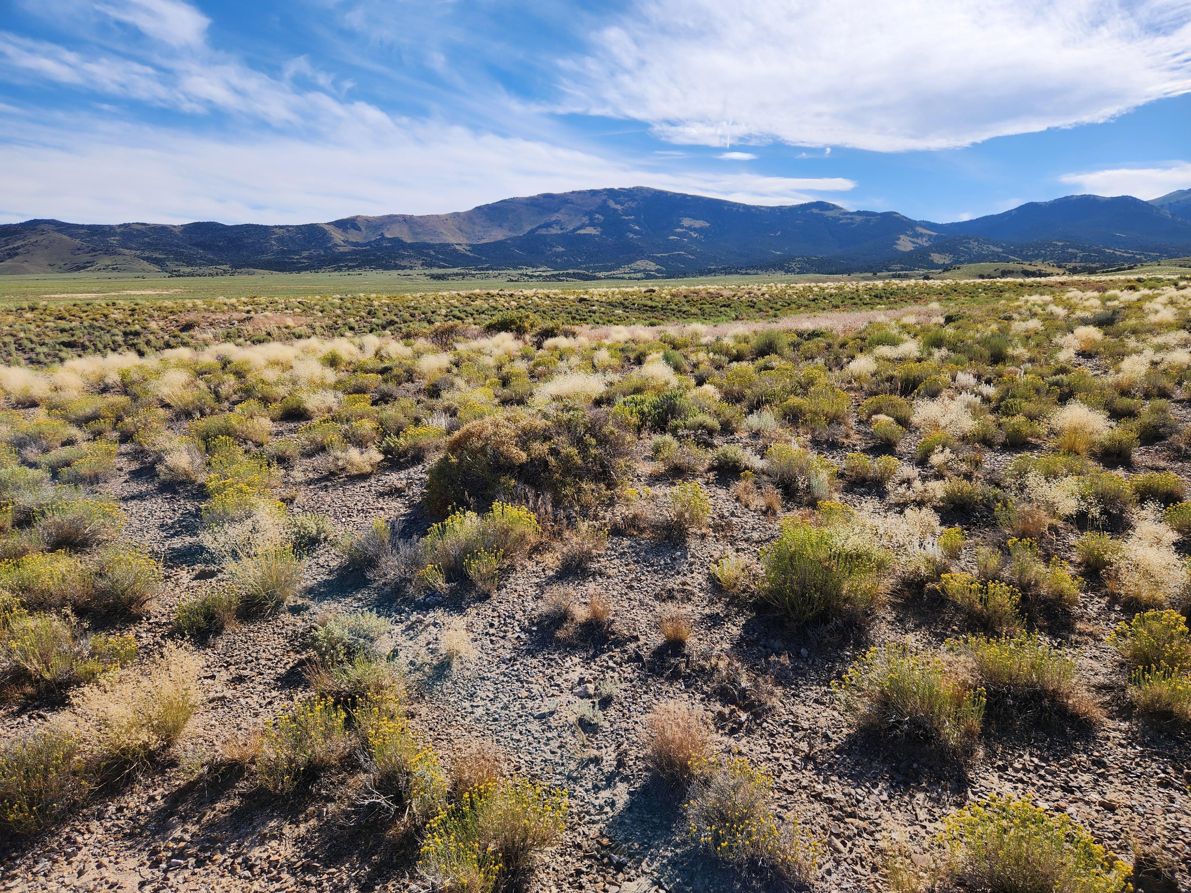 2.06 acres in Montello, NV, 89830 | LandWatch