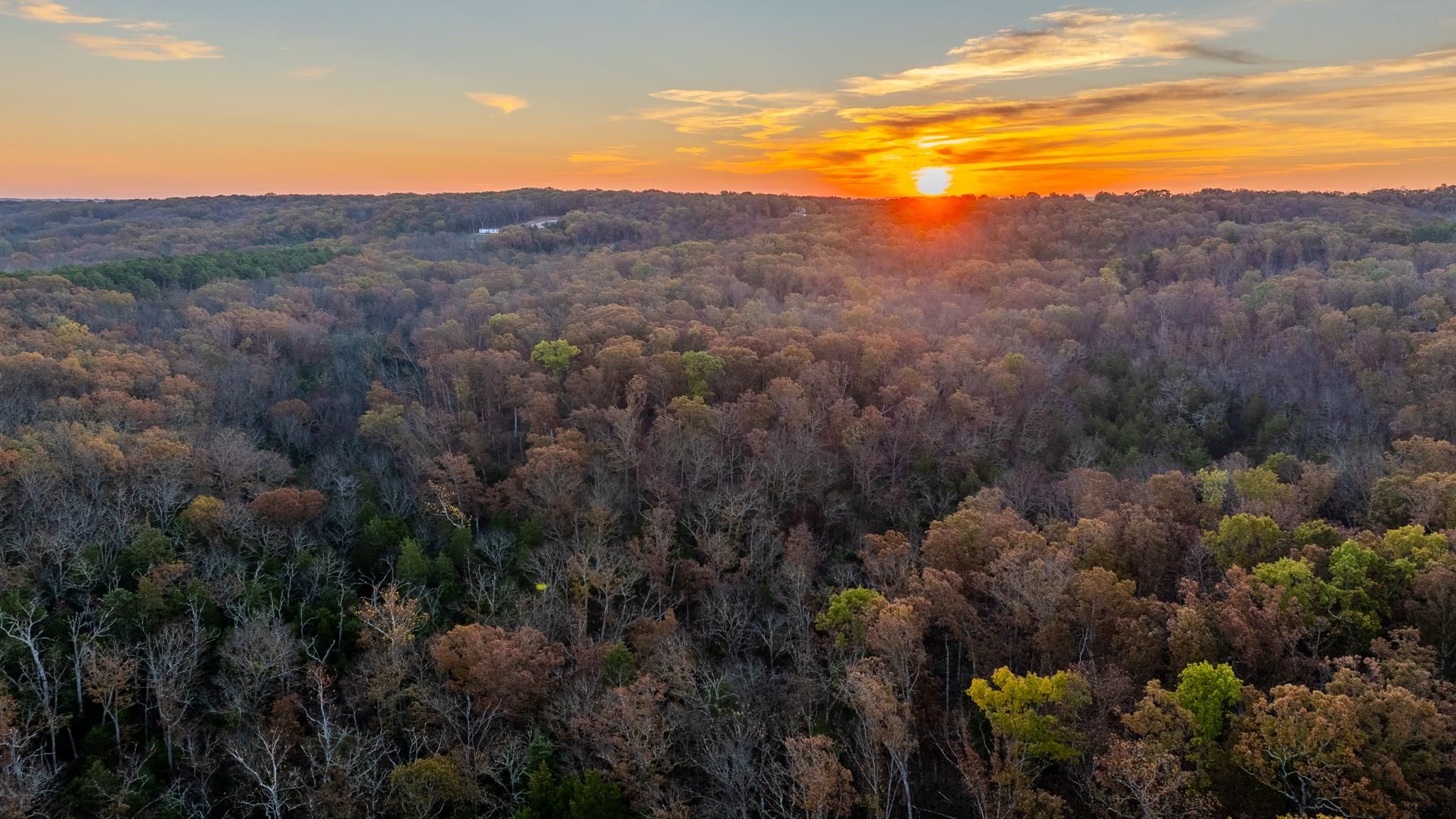 5785 Evergreen Loop, Leslie, MO 63056 | LandWatch