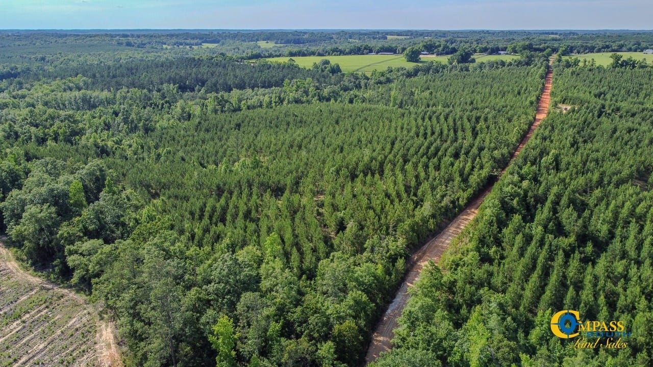 Welch Road, Buena Vista, GA 31803 | MLS: 612248 | LandWatch