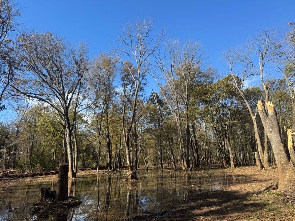 000 Alex Brown Rd., Lot#WP001, Sherrill, AR 72152 | LandWatch