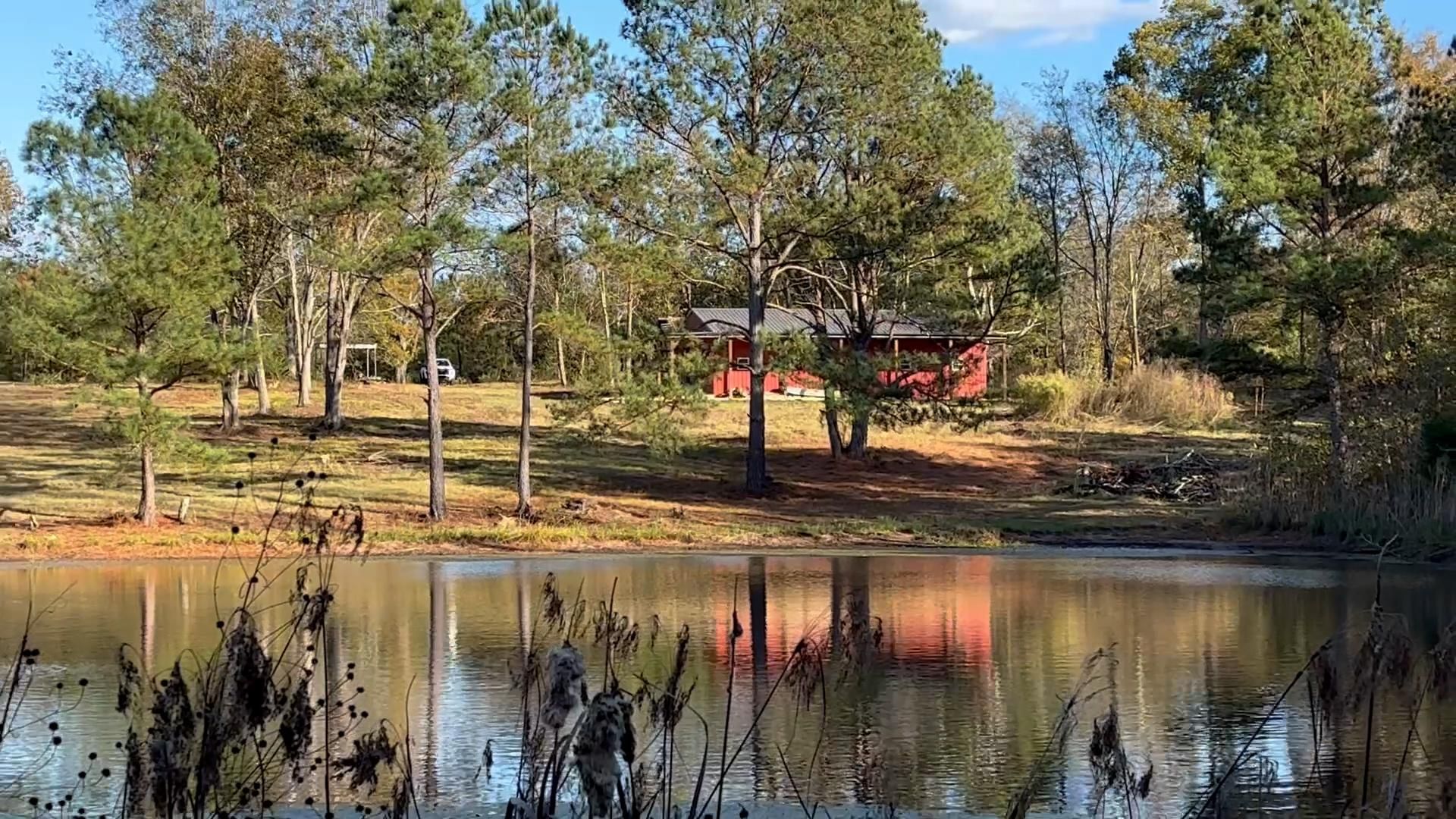 3294 Brady Road, Letohatchee, AL 36047 | LandWatch