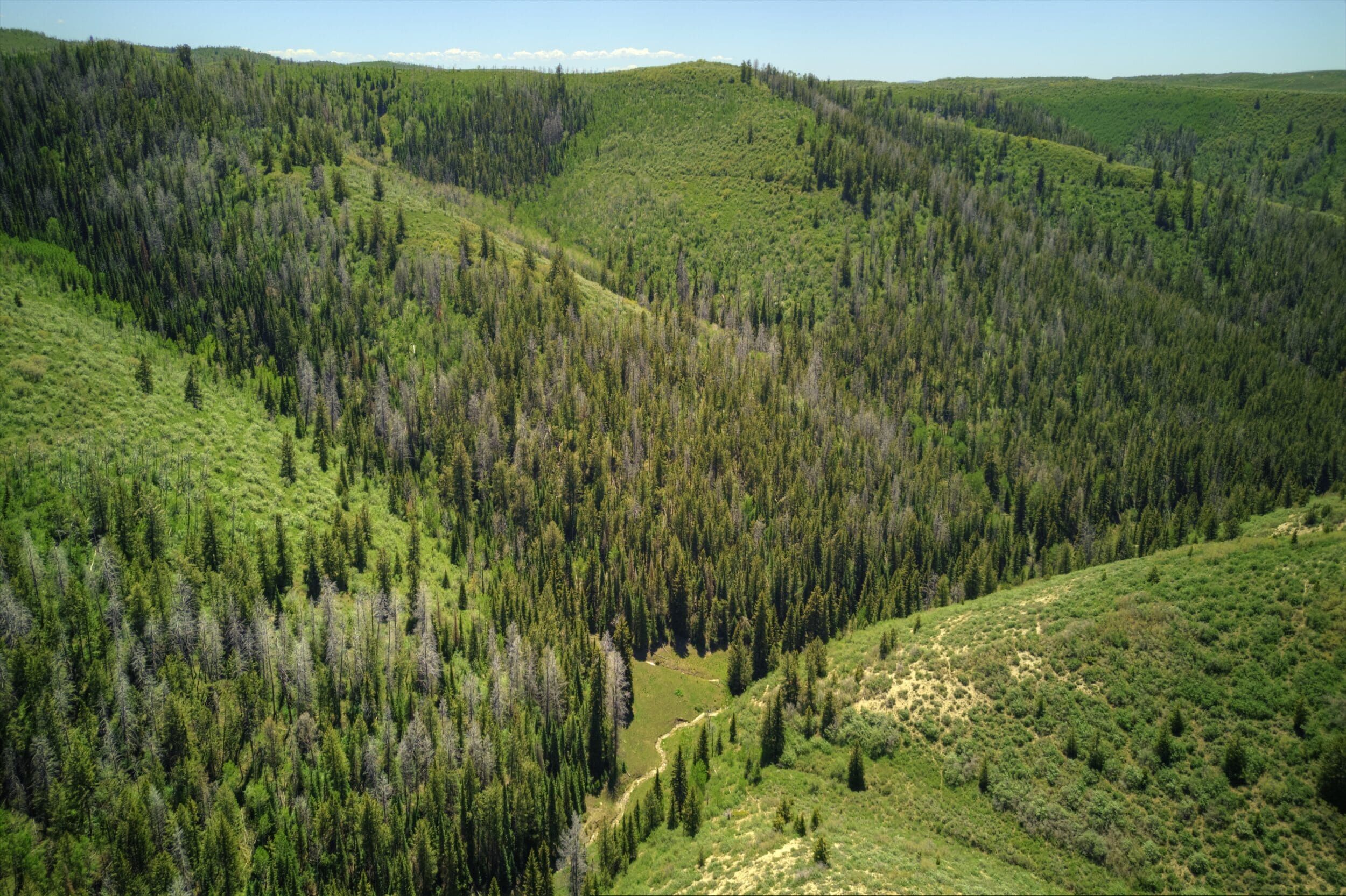 TBD County Road 249, Rifle, CO 81650 | LandWatch