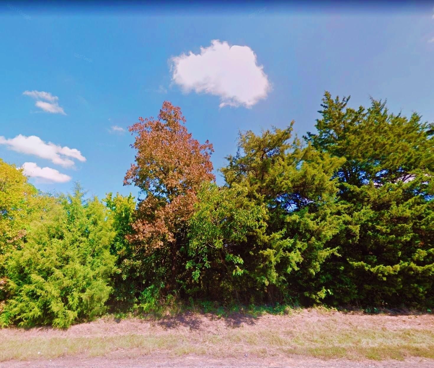 Willow Drive, Pittsburg, TX 75686 | LandWatch