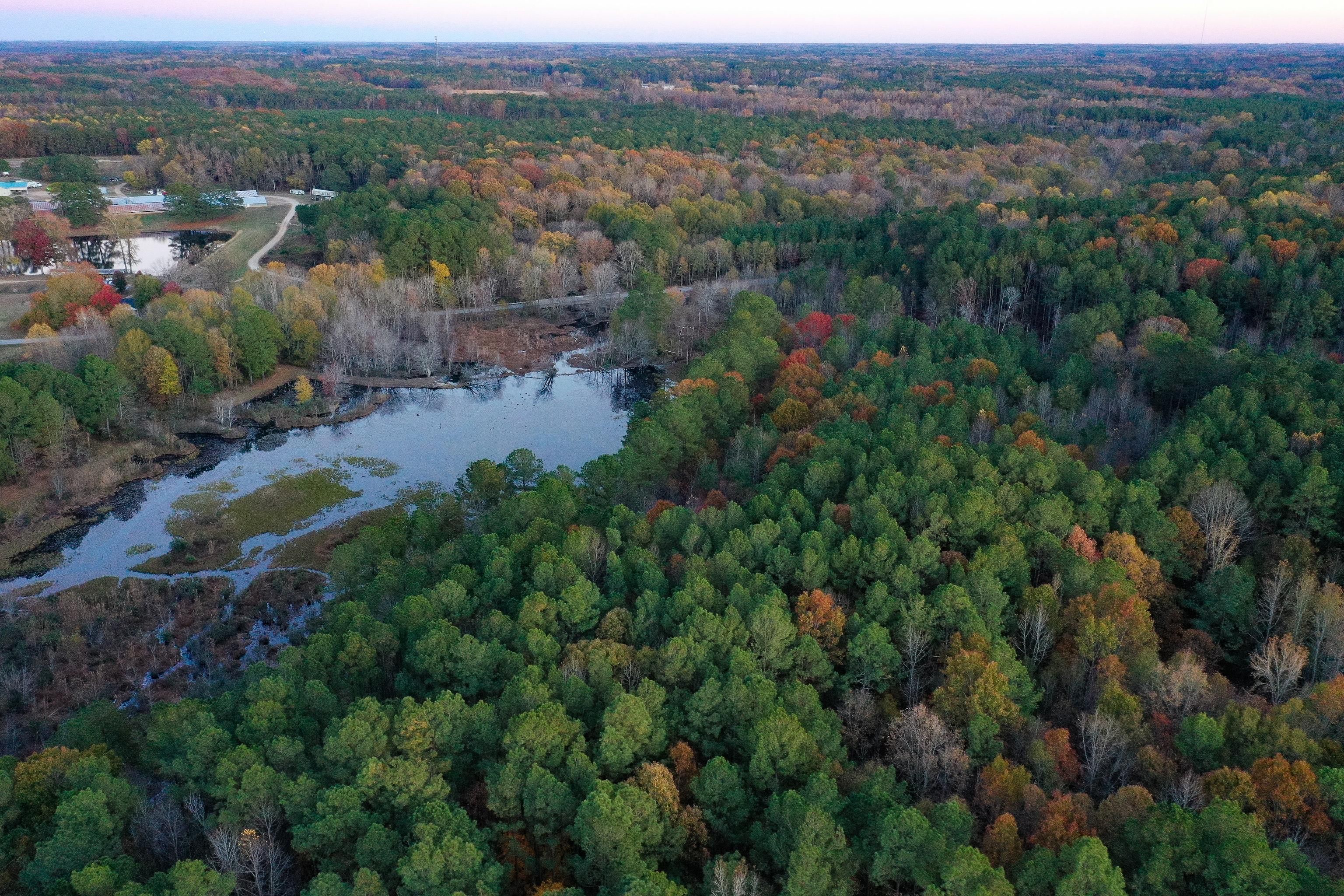 Wiley Road, Spring Hope, NC 27882 | MLS: 10133375 | LandWatch