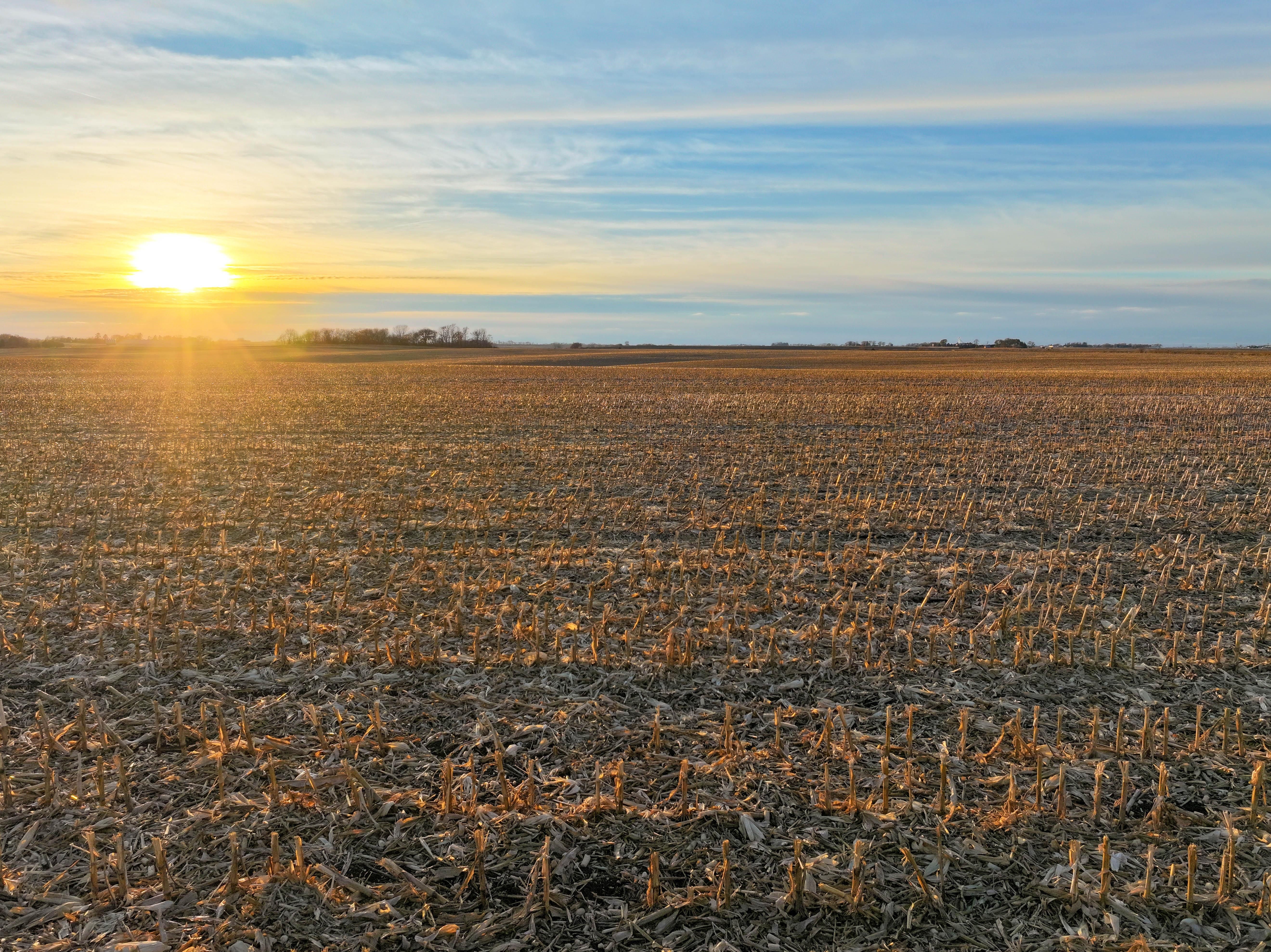 Ridge Avenue, Clarksville, IA 50619 | MLS: 730562 | LandWatch