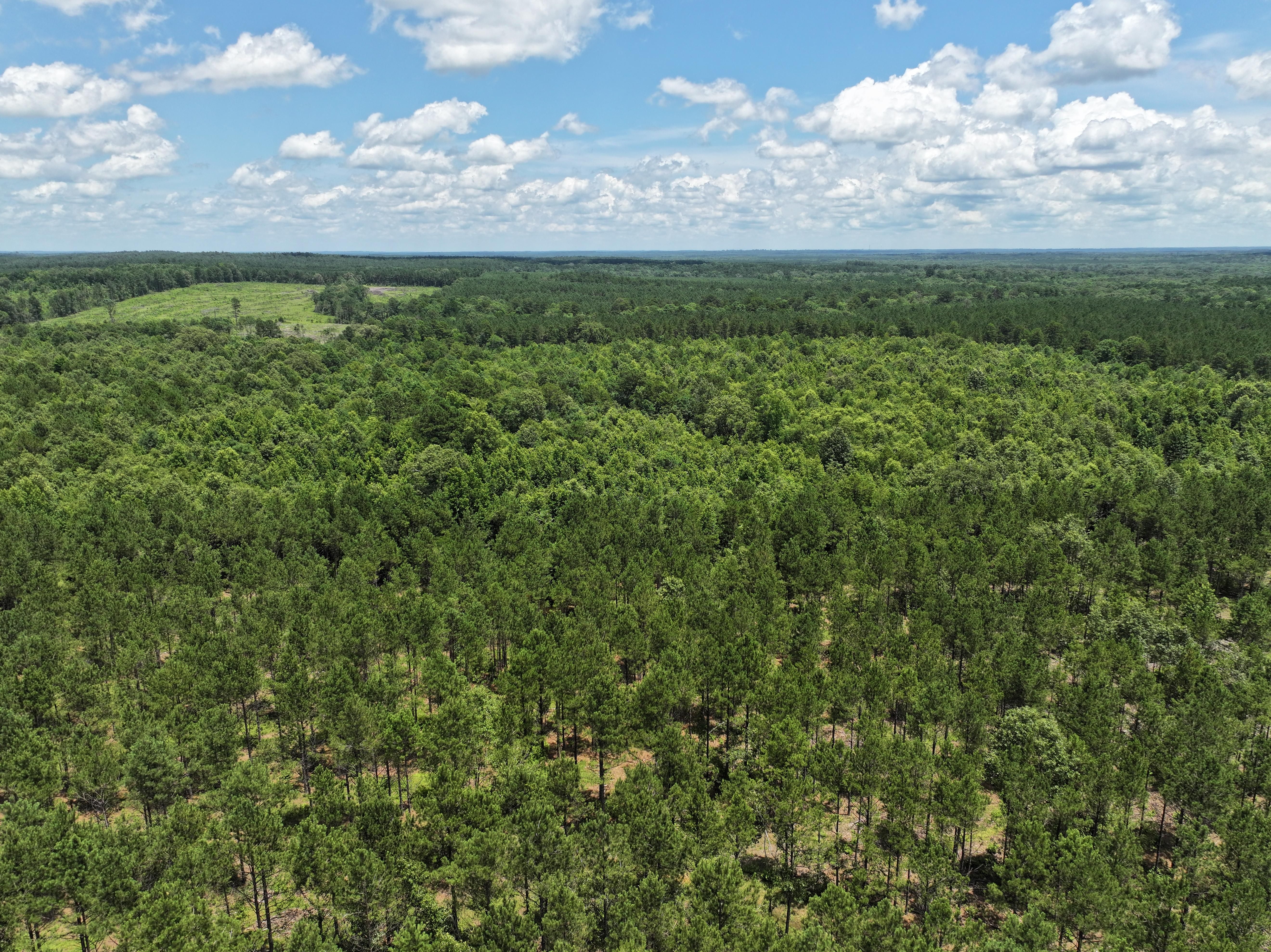 40 acres in Harleton, TX, 75651 | LandWatch