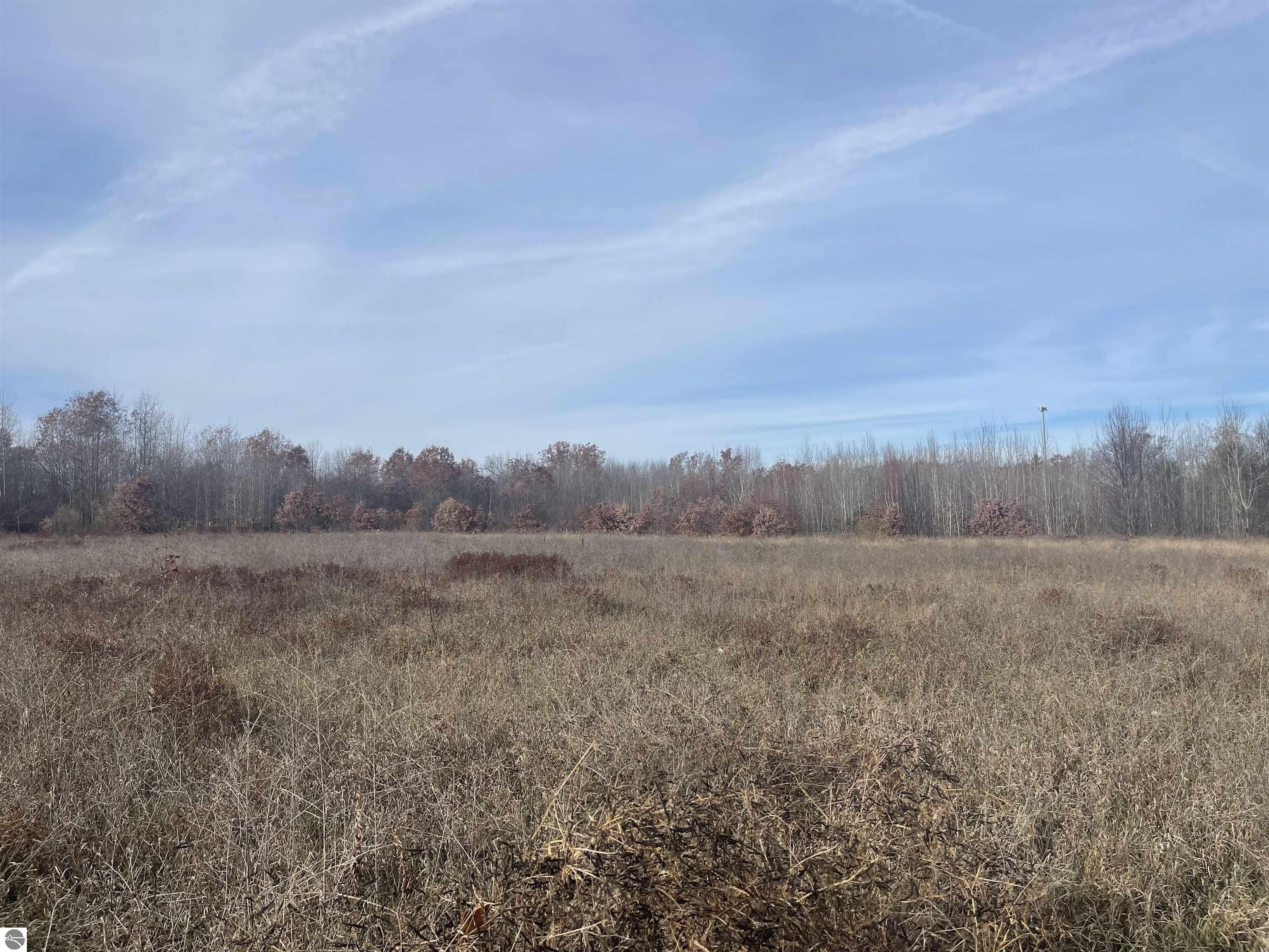 NHN N Clare Avenue, Harrison, MI 48625 | MLS: 1940644 | LandWatch