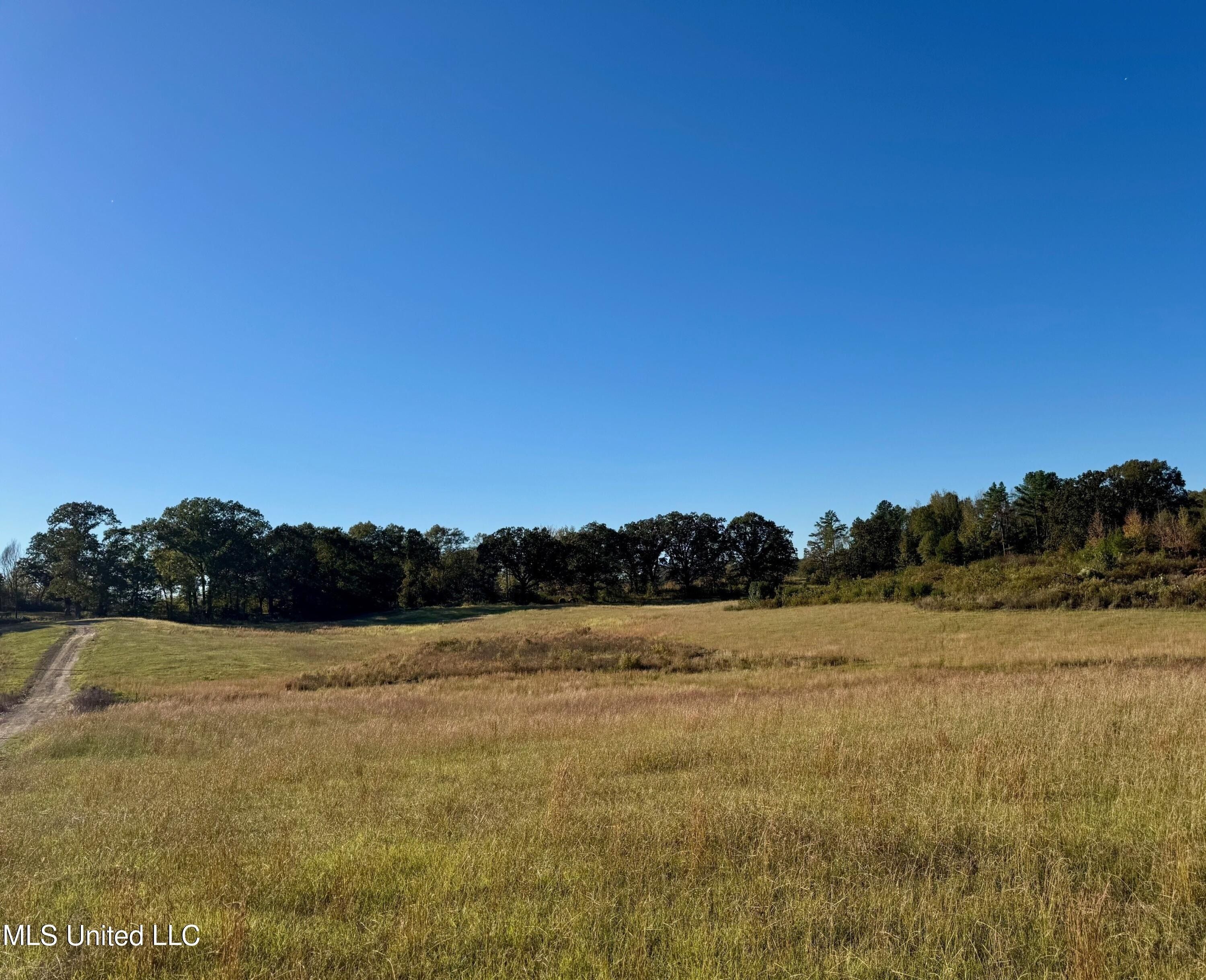 122 County Road 125, Bruce, MS 38915 | MLS: 4101249 | LandWatch