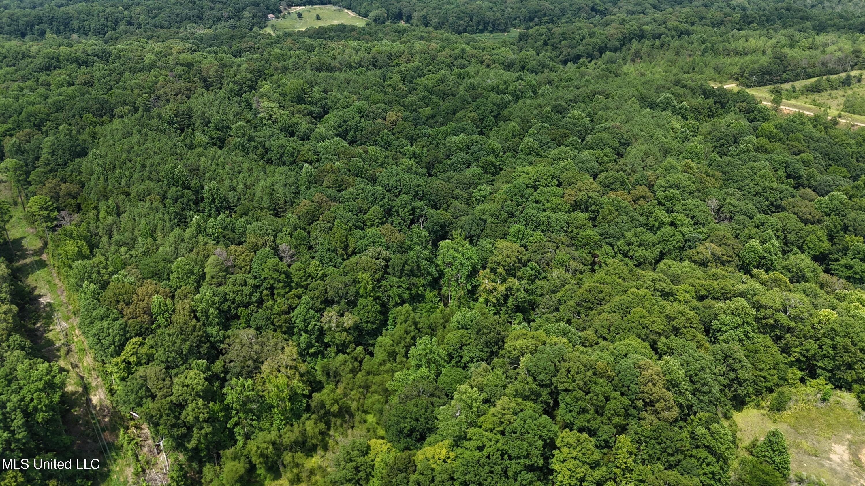 Pine Bluff Road, Cruger, MS 38924 | MLS: 4121169 | LandWatch