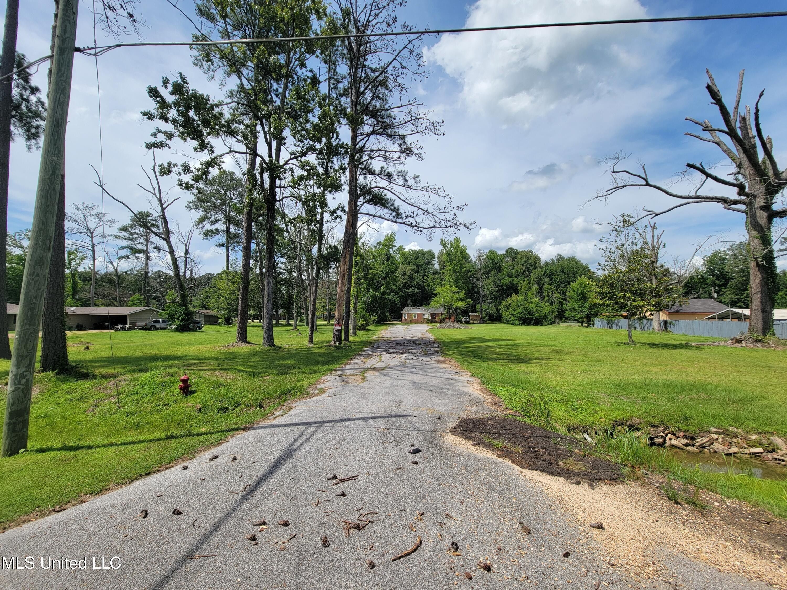 1505 E 3rd Street lot: 115, Forest, MS 39074 | MLS: 4116164 | LandWatch