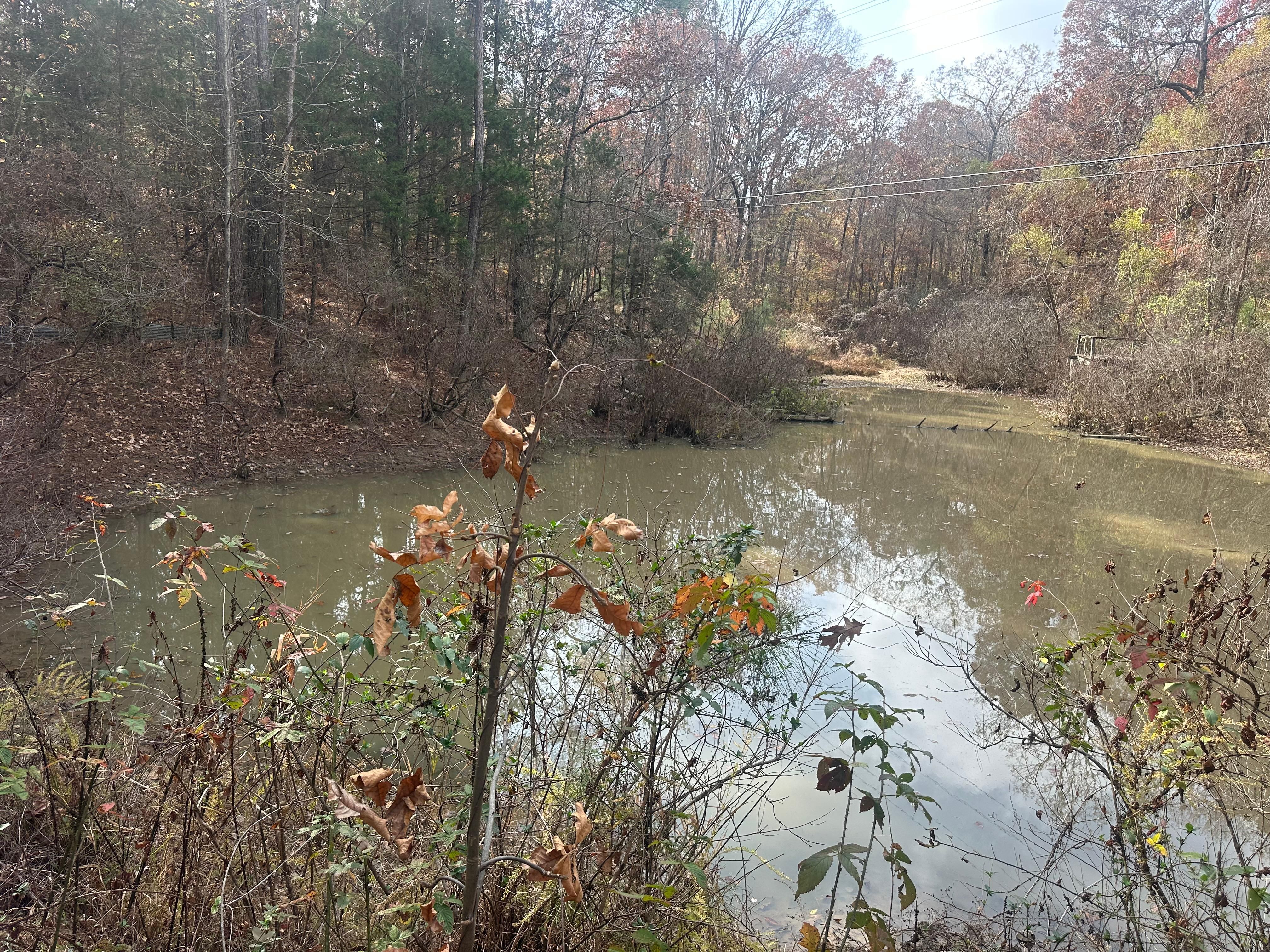 Pine Lake Drive, Batesville, MS 38606 | LandWatch