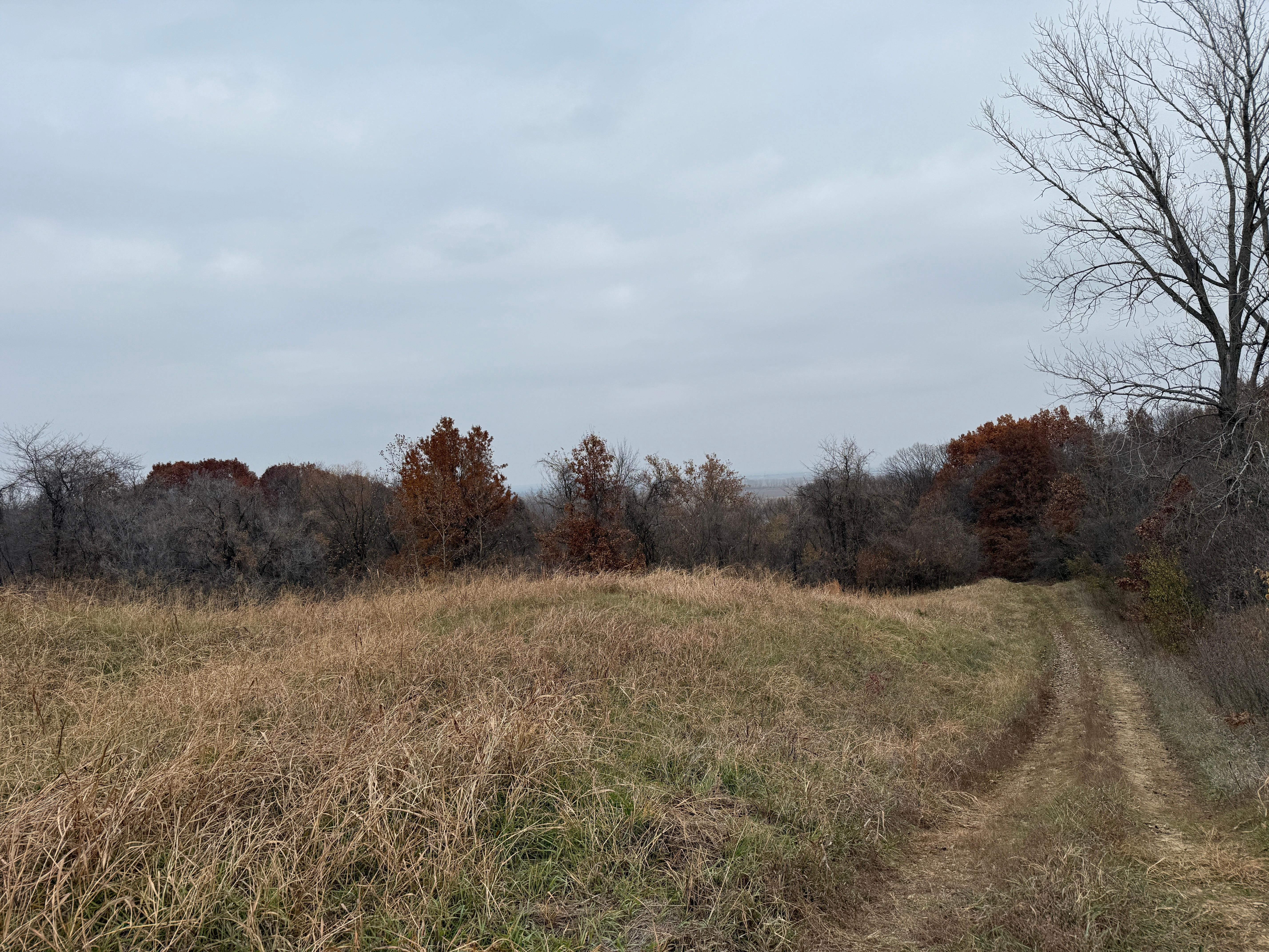 Dover Bluff, Waverly, MO 64096 | MLS: 2588886 | LandWatch