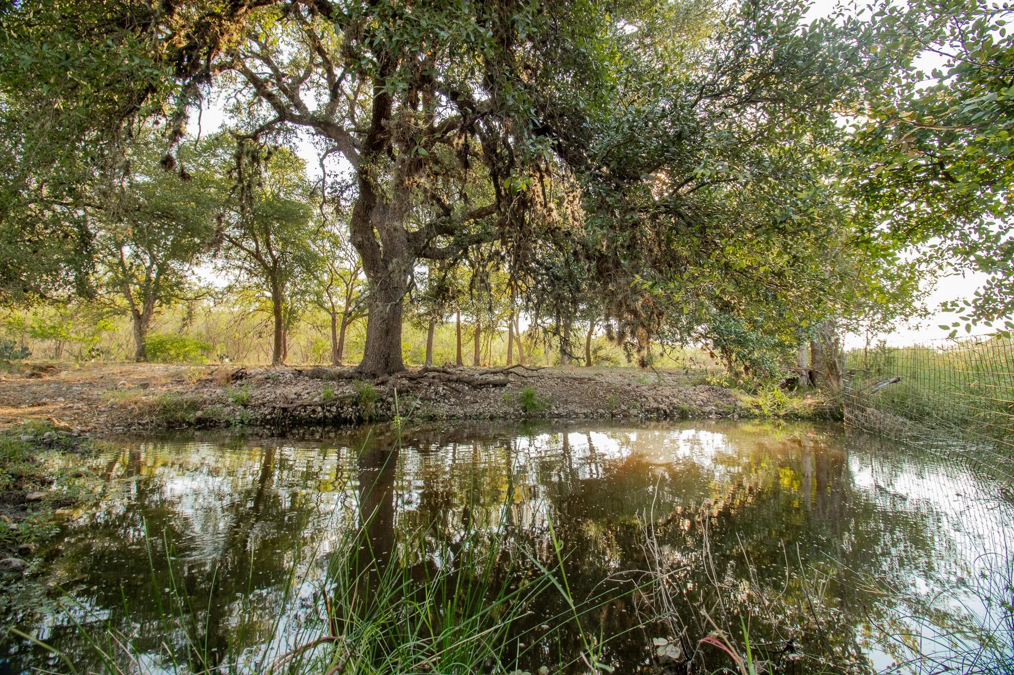 112 acres in Quihi, TX, 78861 | LandWatch