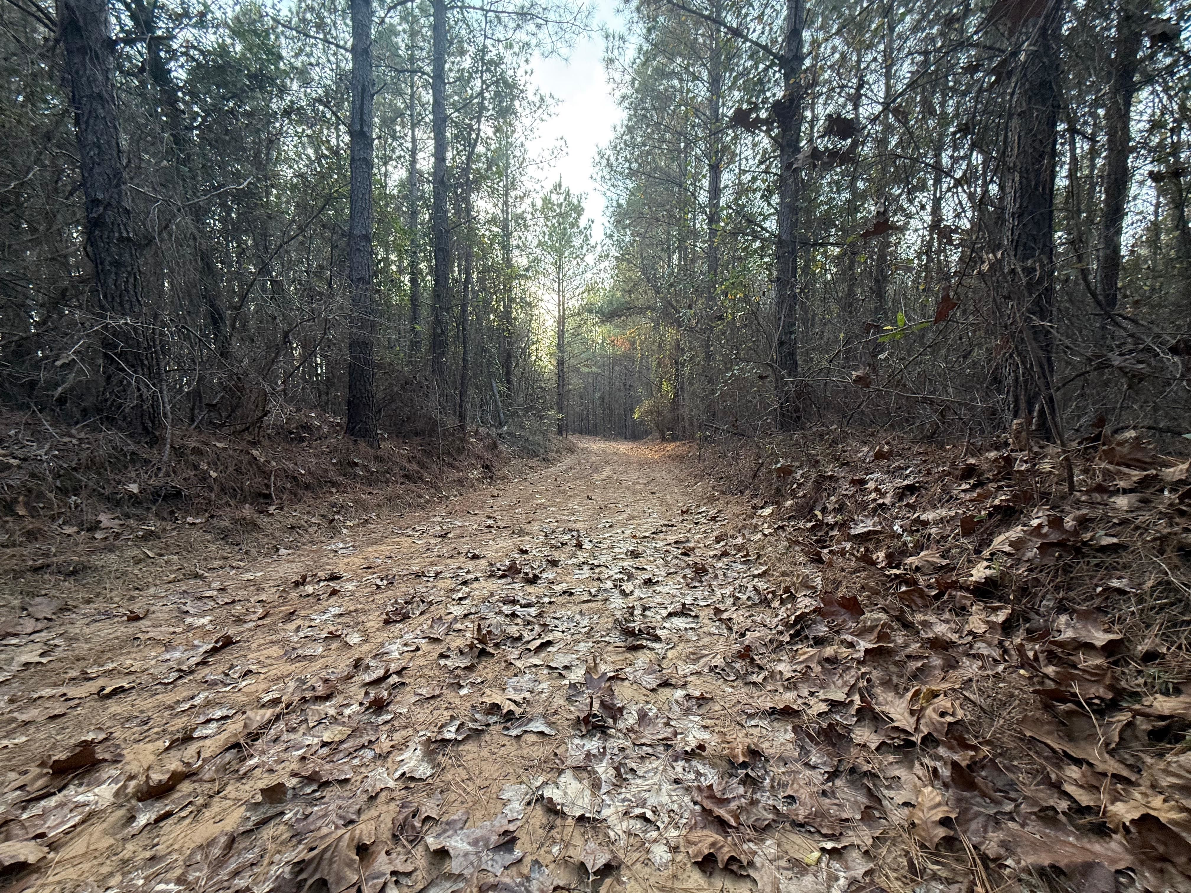 78 acres in Remlap, AL, 35133 | LandWatch
