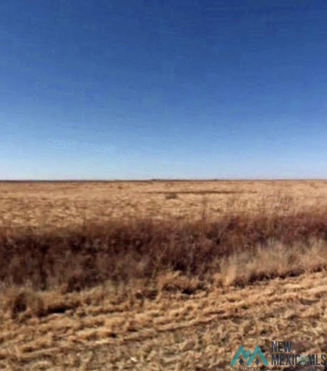 000 206 Highway, Pep, NM 88126 | MLS: 20256712 | LandWatch