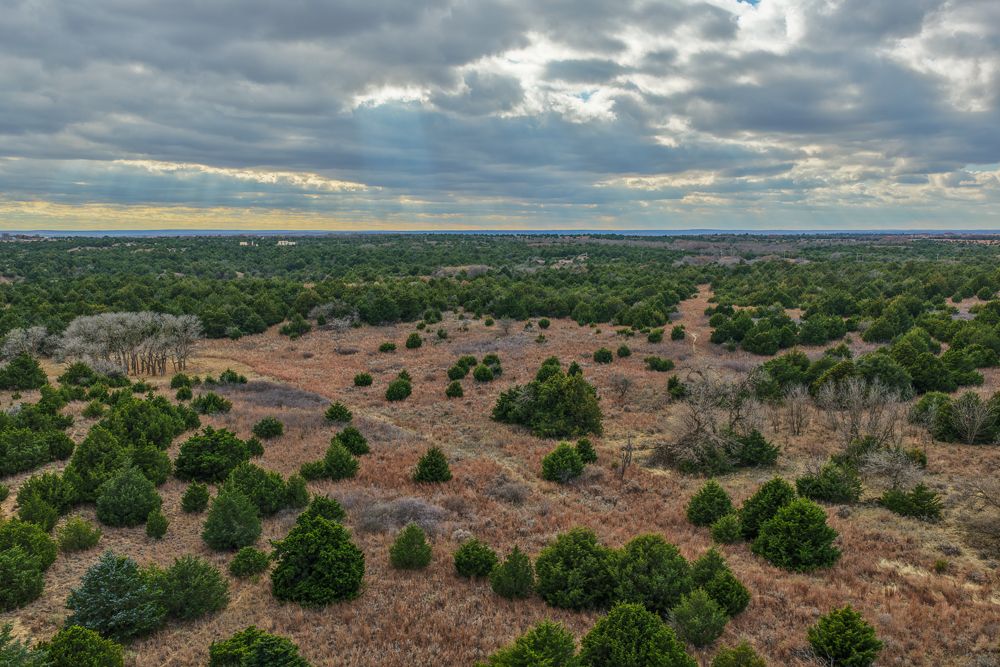 000 S County Rd 195, Harmon, OK 73832 | MLS: Ellis 60 | LandWatch