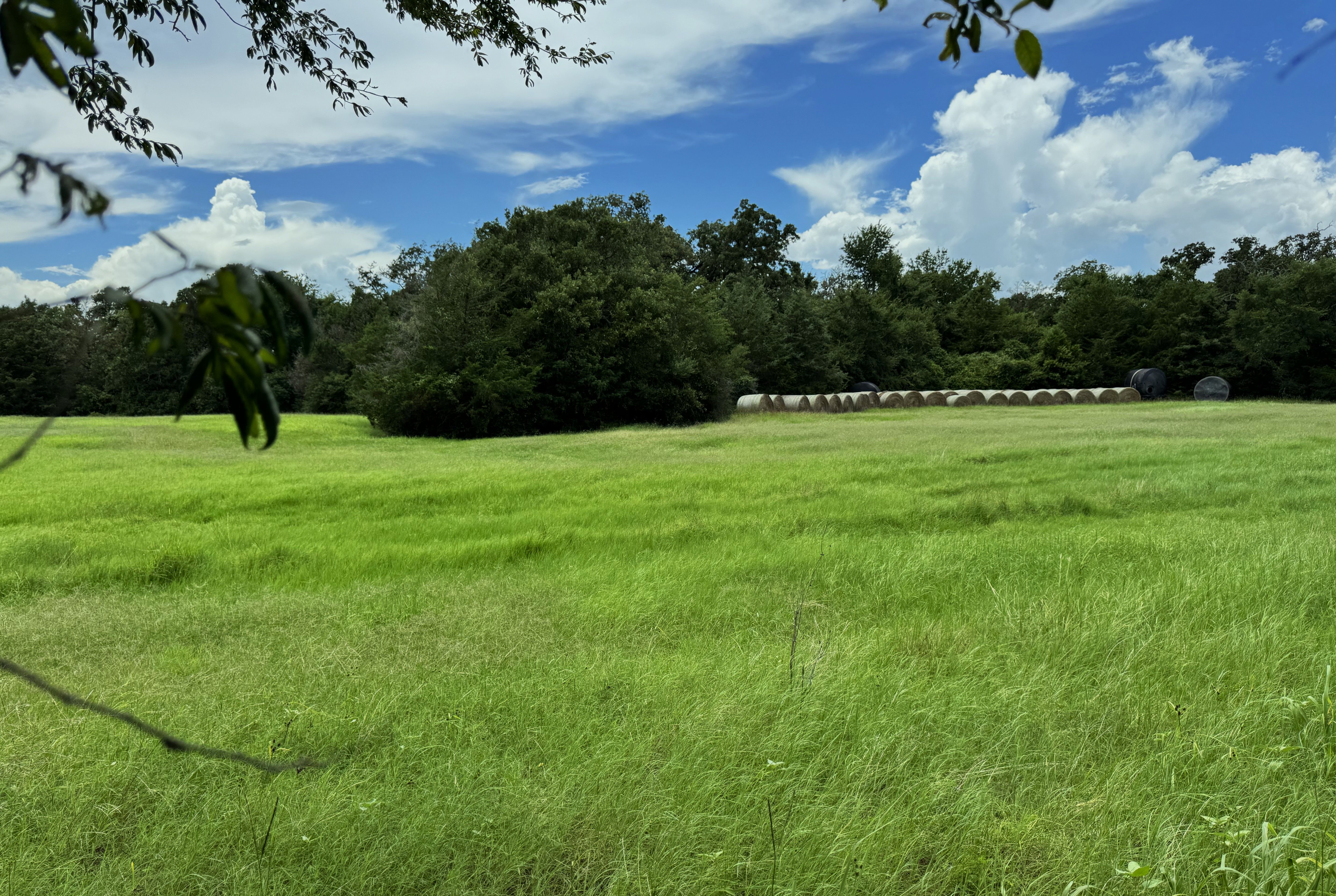 TBD W Boone Prairie Rd, Franklin, TX 77856 | LandWatch