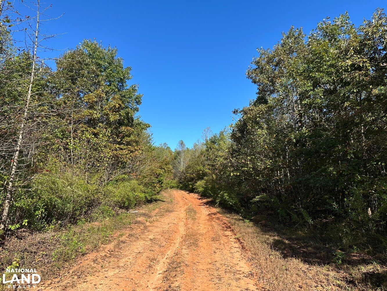 438 Mountain Top Road, New Canton, VA 23123 | LandWatch
