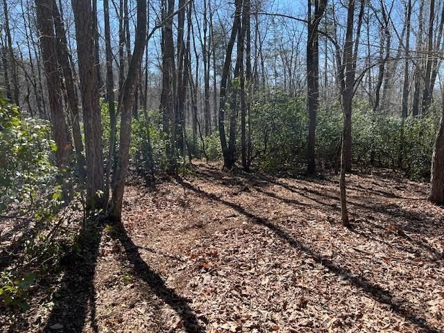 Cliff Park Rd. lot: 16, Monterey, TN 38574 | MLS: 234744 | LandWatch