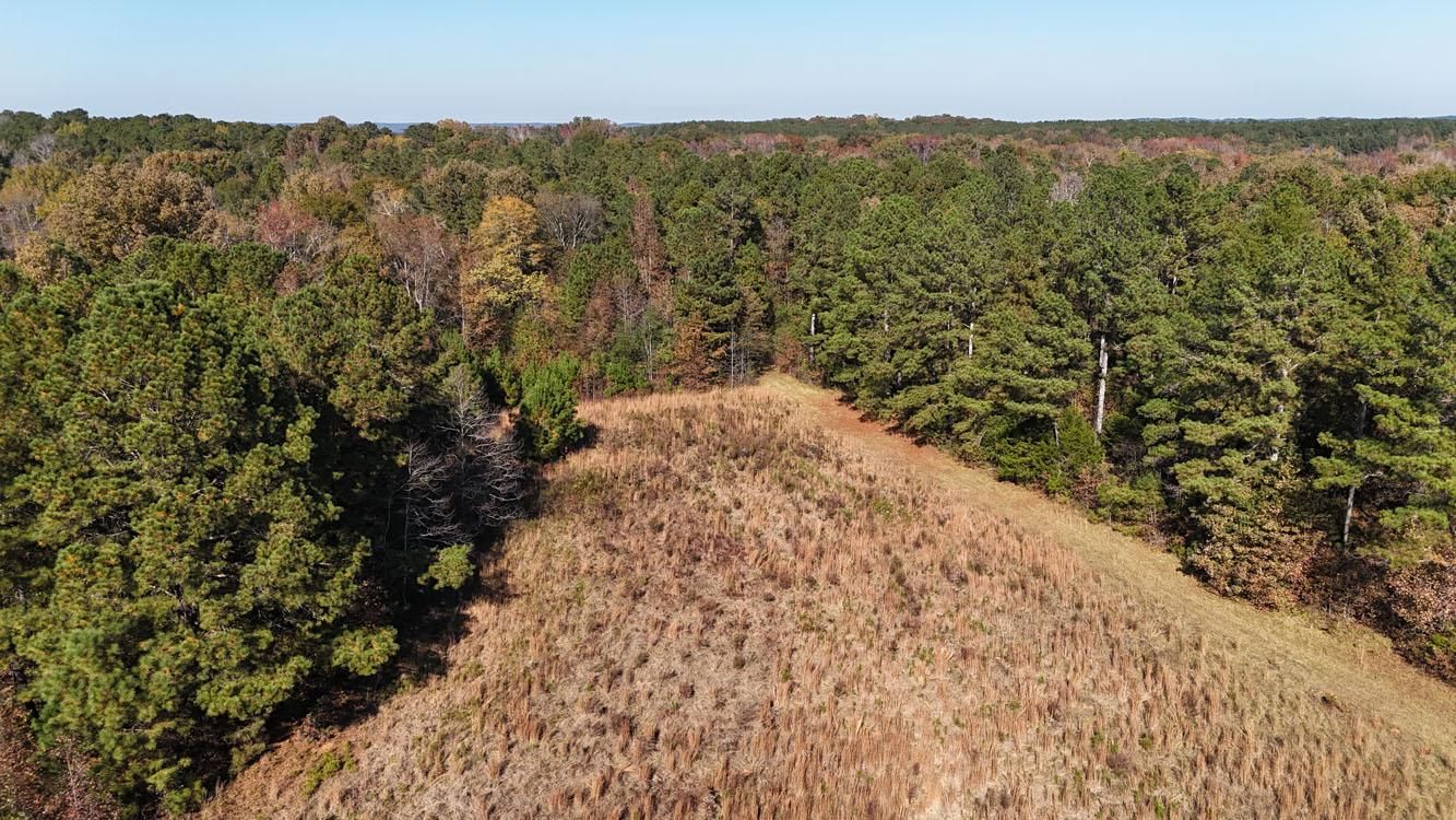 Saffold rd, Madison, GA 30650 | LandWatch