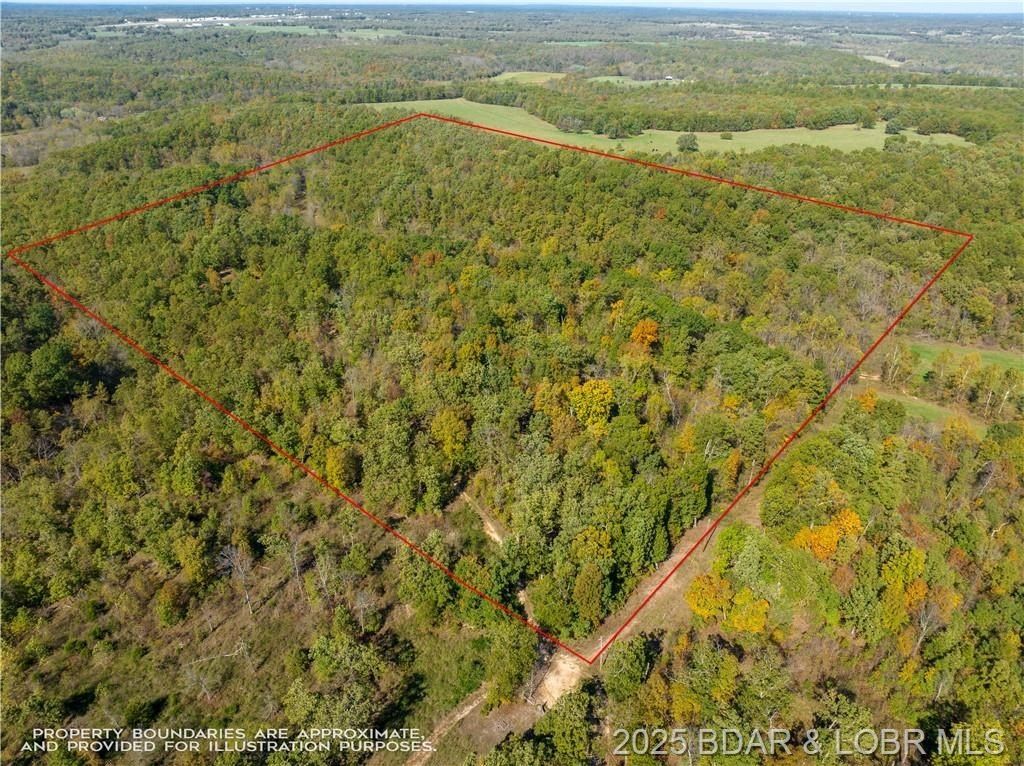 TBD Flag Hollow Road, Montreal, MO 65591 | MLS: 3581108 | LandWatch