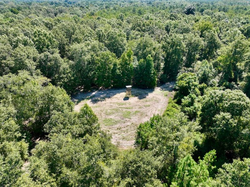 0 Abbeville Hwy, Pineview, GA 31071 | LandWatch