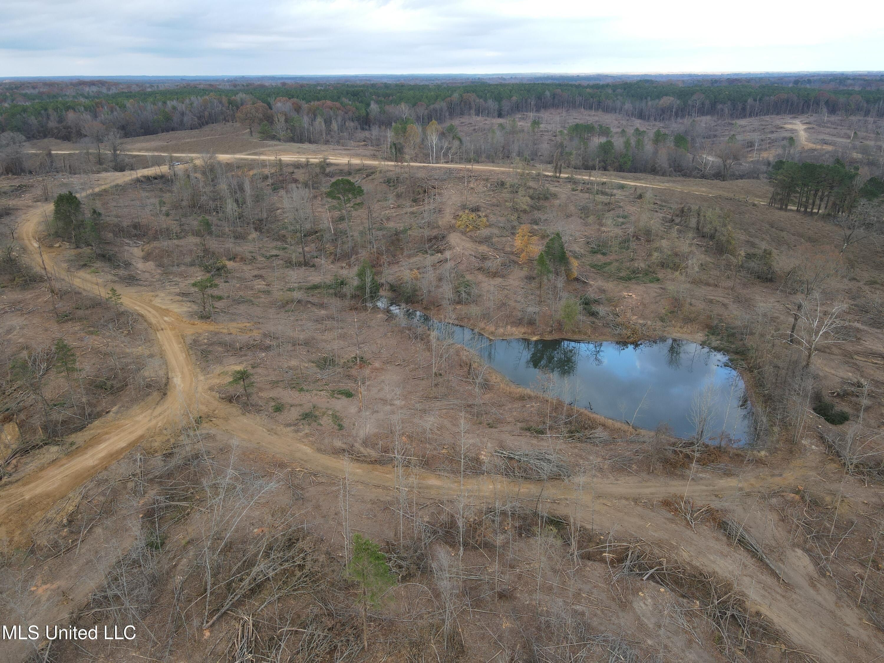 Lane Road, Cascilla, MS 38920 | MLS: 4133017 | LandWatch