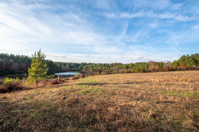 O Lady Mary Road, Stoneville, NC 27048 | LandWatch