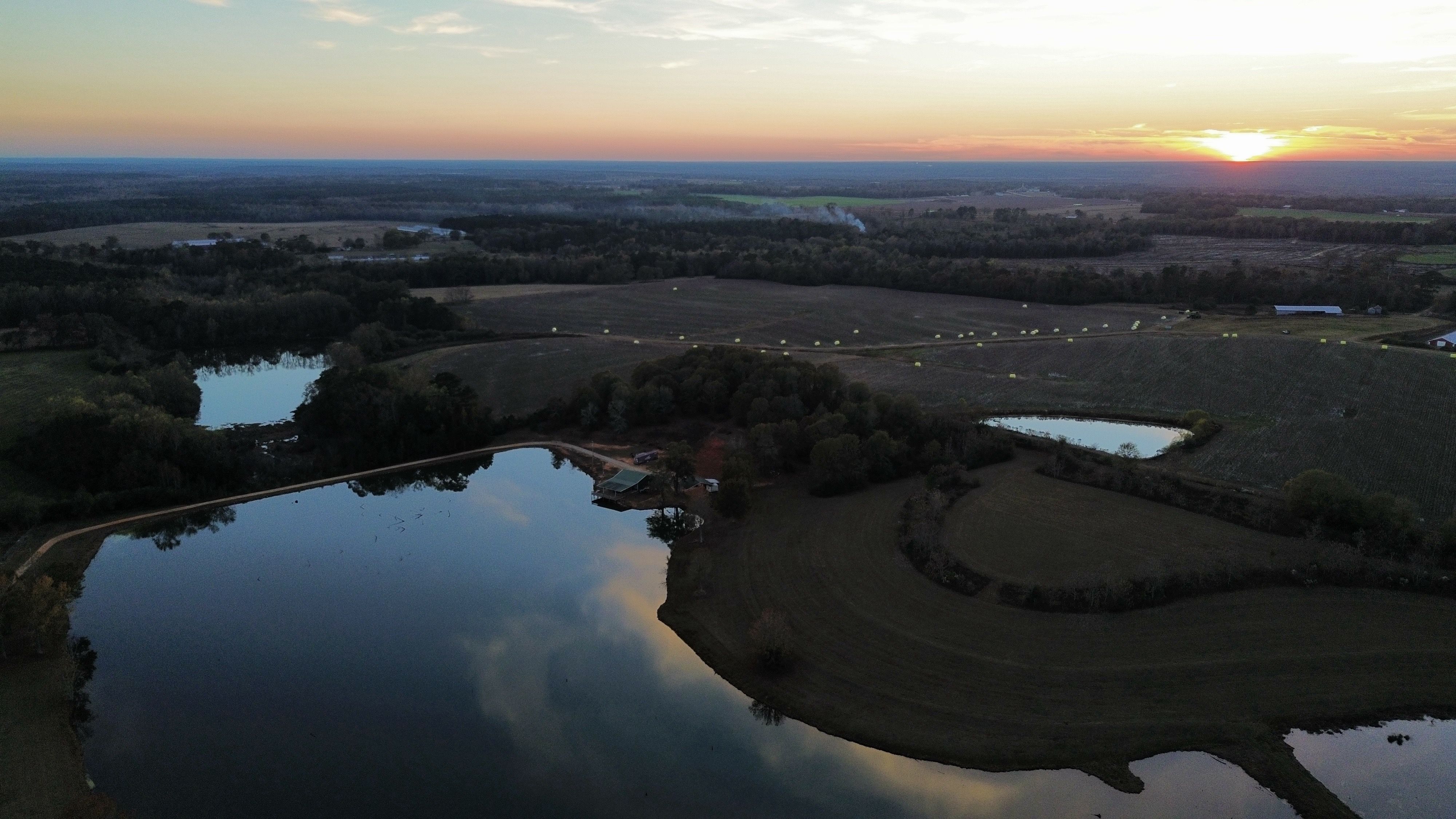 913 County Road 448, Elba, AL 36323 | LandWatch