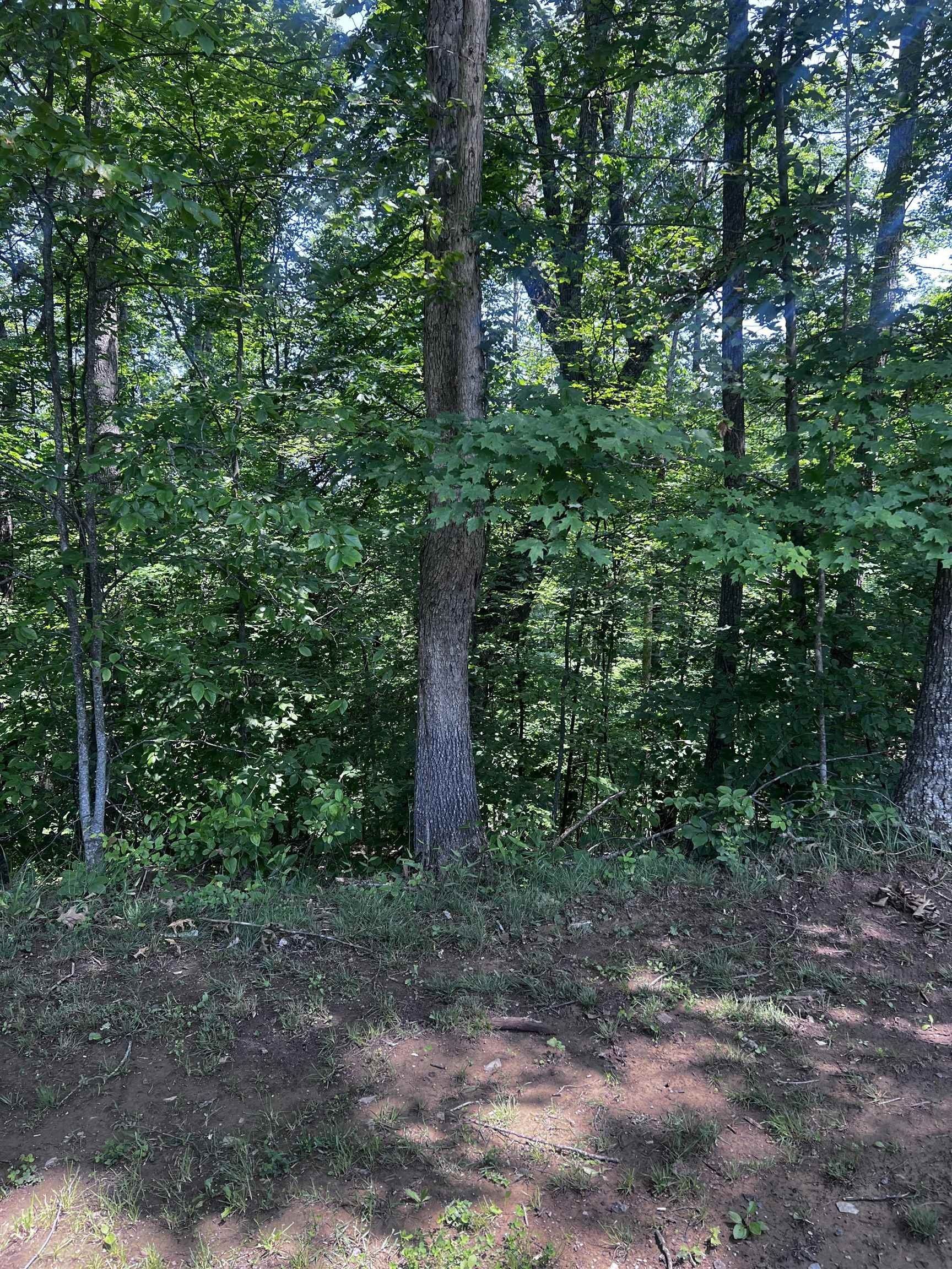 Lt 24 Jericho Road, Ona, WV 25545 | MLS: 181356 | LandWatch