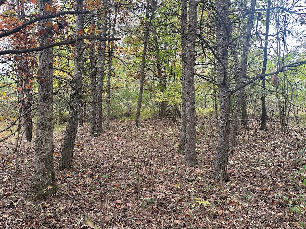 0 Jericho Road, Walker, WV 26180 | LandWatch