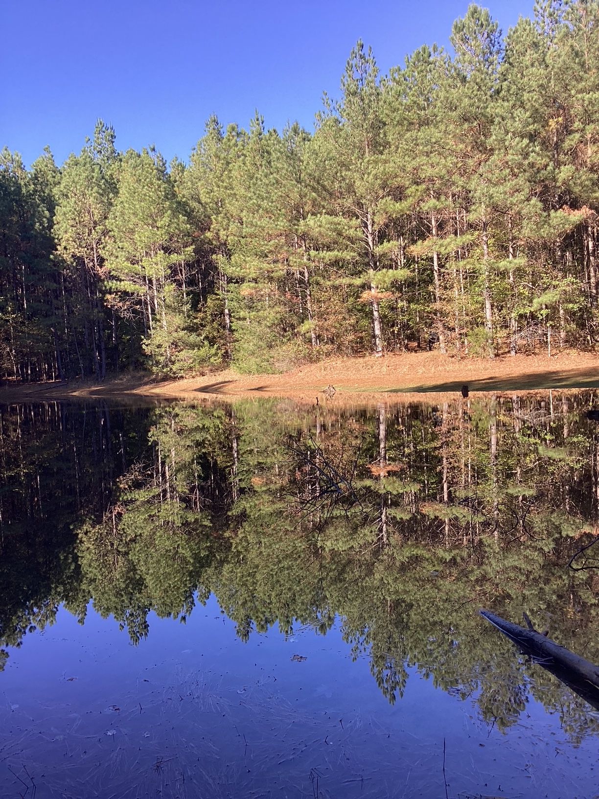 6499 Lynville Road, Preston, MS 39354 | MLS: 50006 | LandWatch