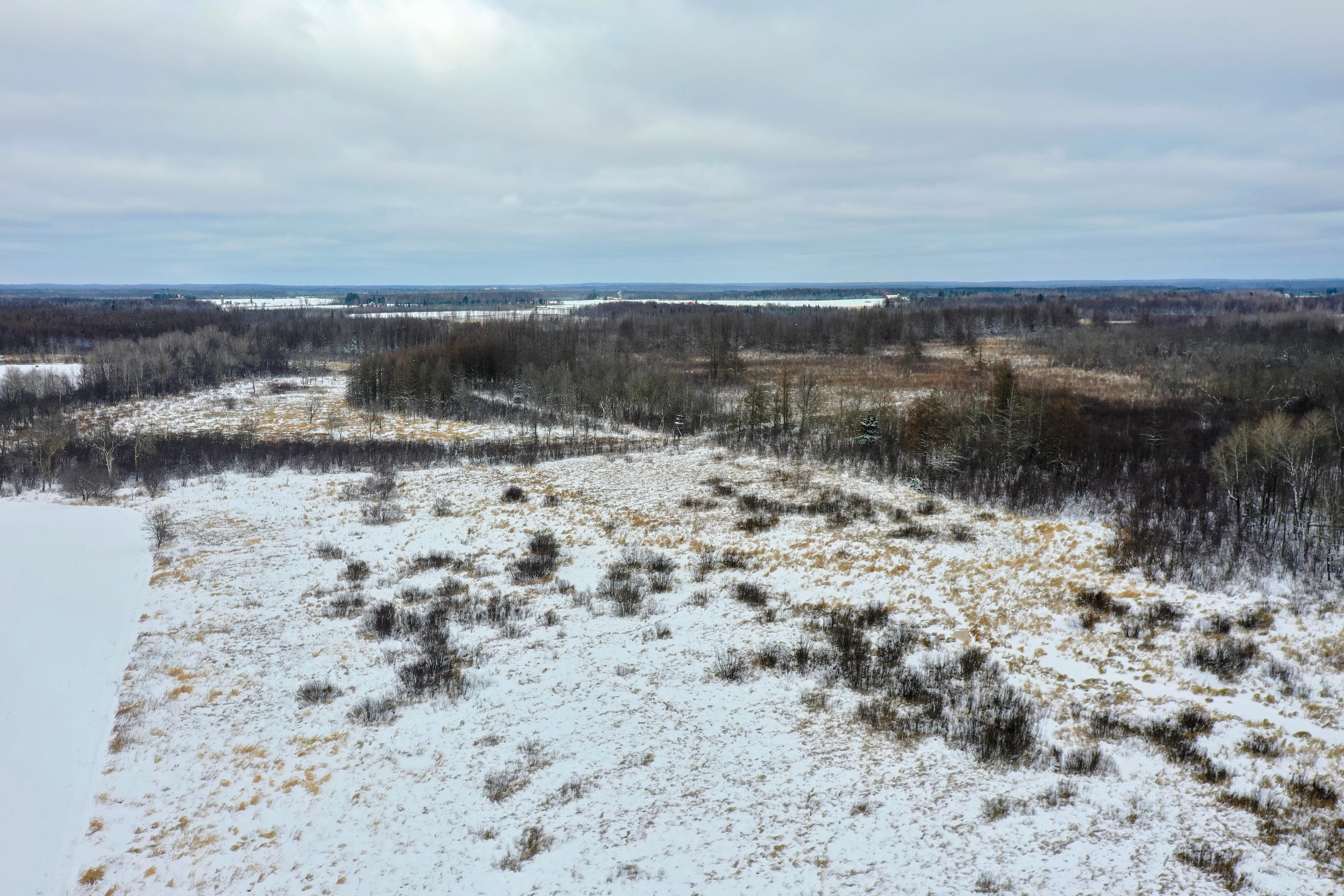 +/-23 Acres Tower Avenue, Medford, WI 54451 | MLS: 22505407 | LandWatch