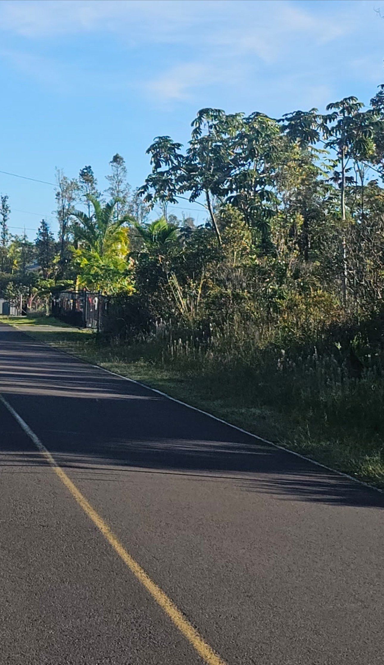 16-2056 RAINBOW DR, Pahoa, HI 96778 | MLS: 726378 | LandWatch