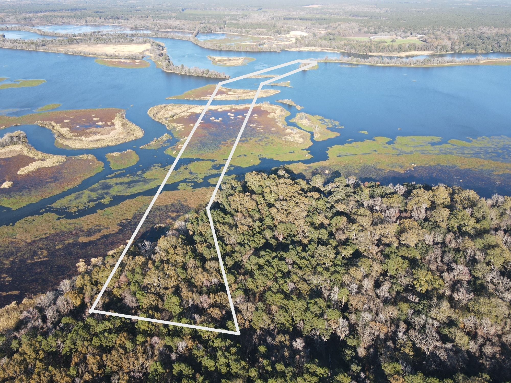 Albert Storm Avenue, Pimlico, SC 29461 | LandWatch