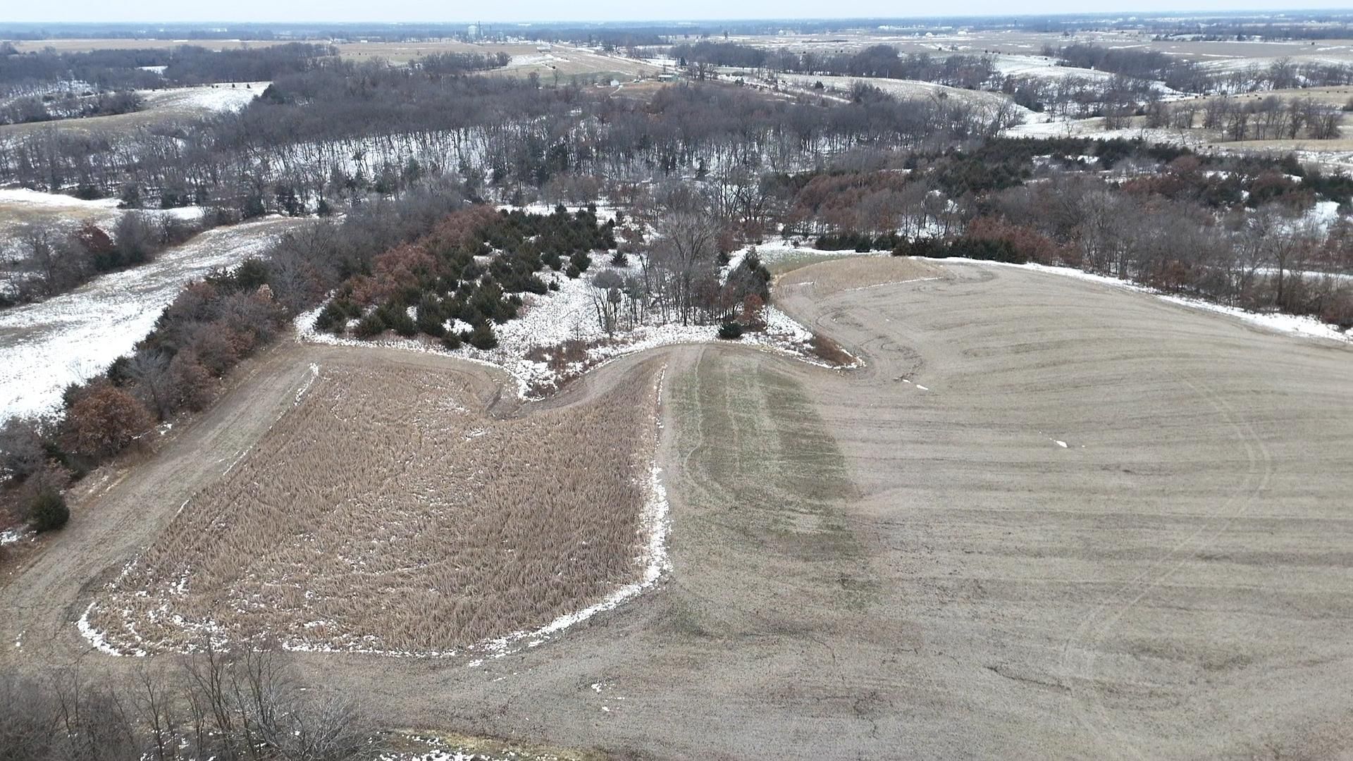 Wheat Avenue, Bloomfield, IA 52537 | LandWatch