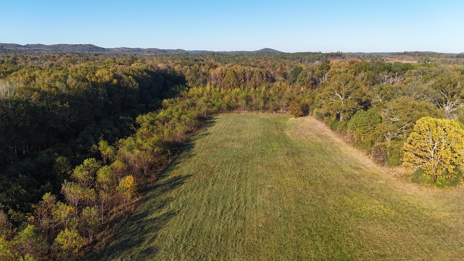 002 County Road 6, Ballplay, AL 36272 | LandWatch